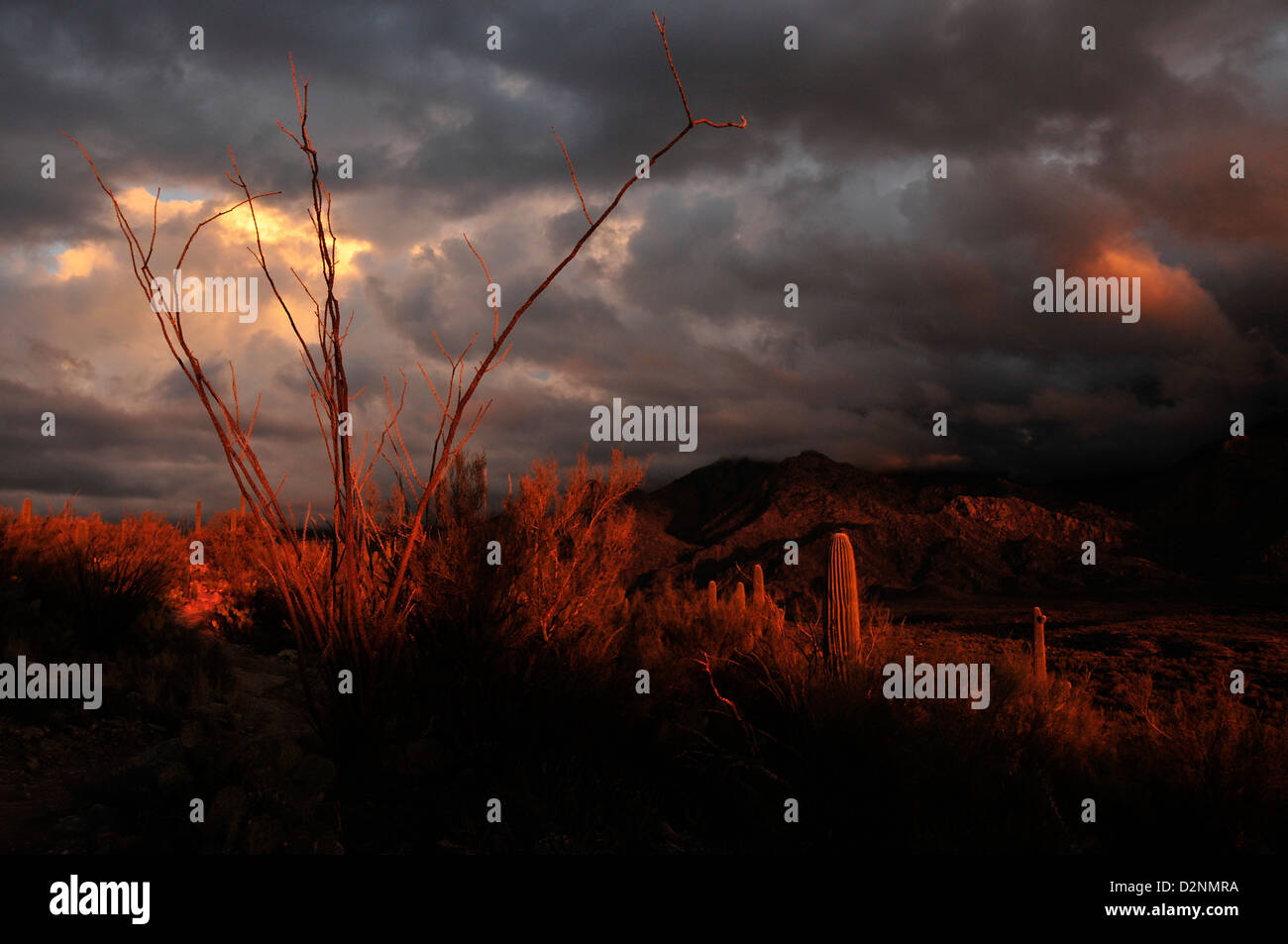 Sunset colors the sky on a stormy winter day in the Santa Catalina ...