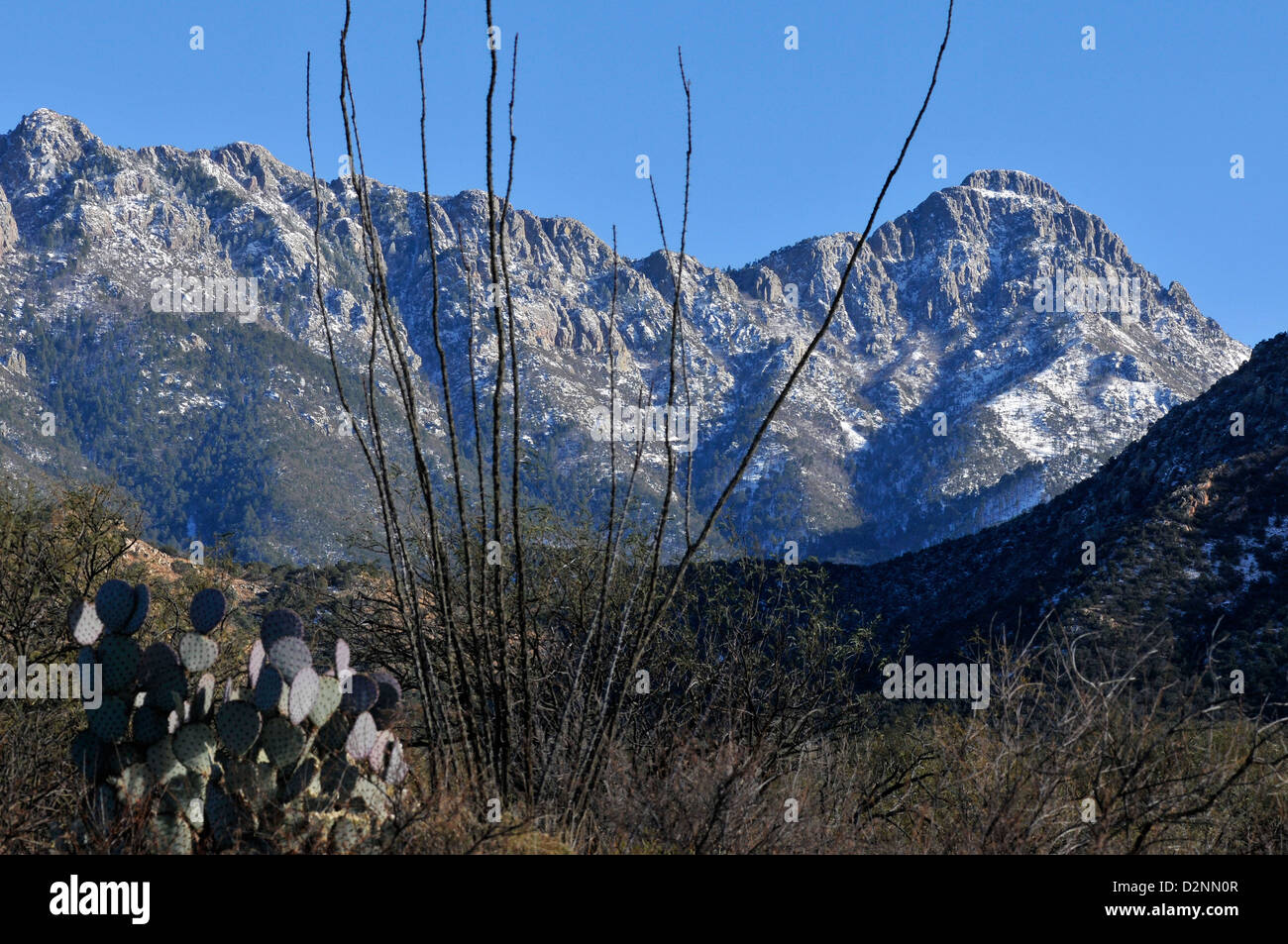 Snow caps a peak in the Santa Rita Mountains, Coronado National Forest ...