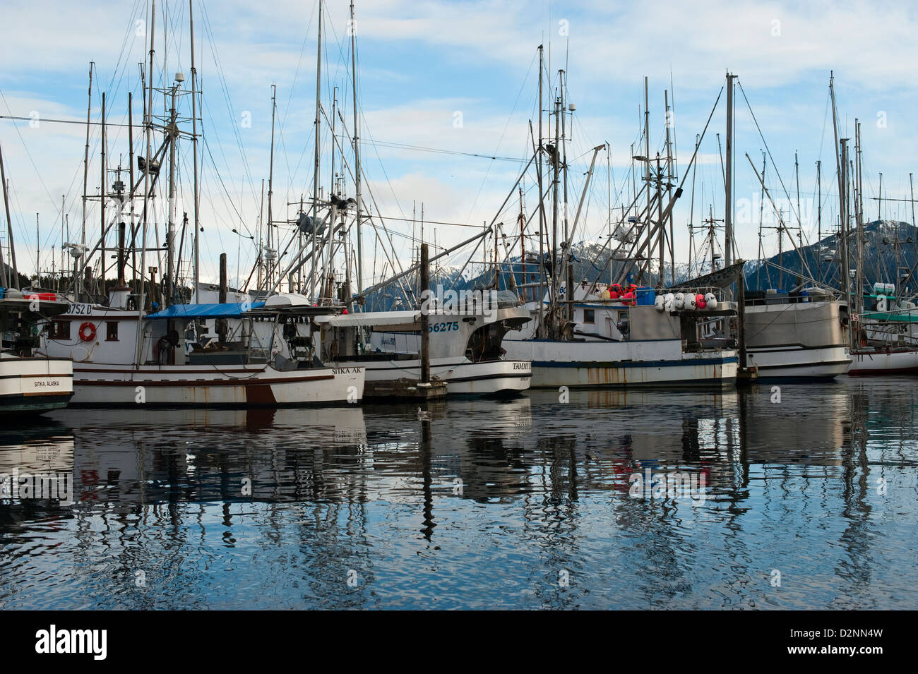 Commercial fishing fleet docked in Crescent Harbor, Sitka, Alaska, USA ...