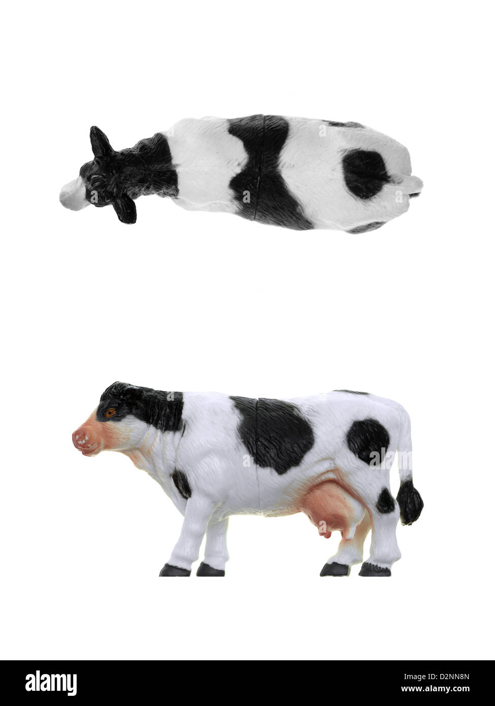 Farm animals isolated against a white background Stock Photo - Alamy