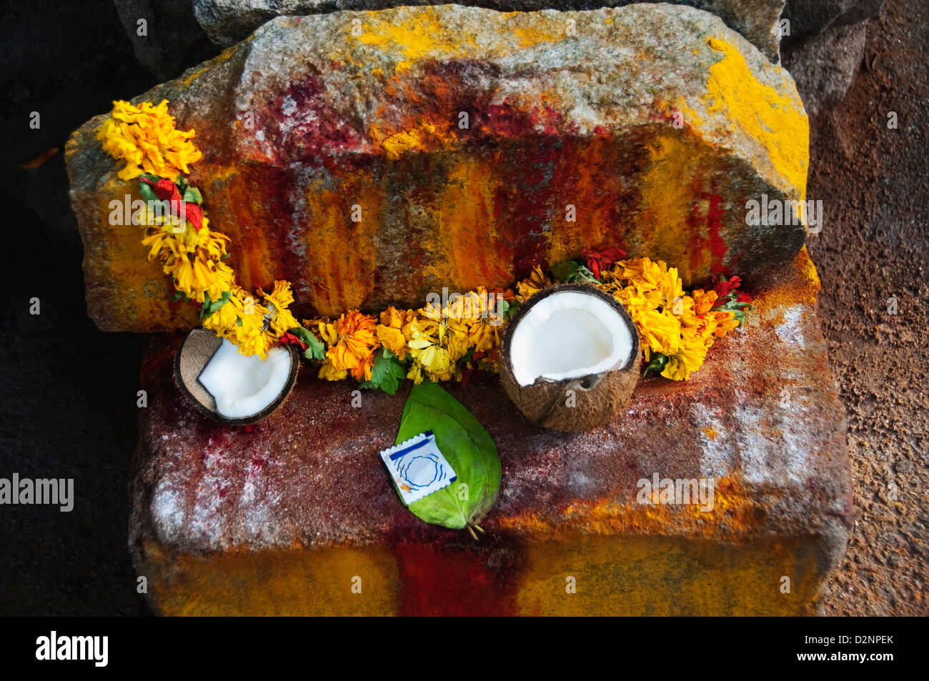 Religious offerings of coconuts and betel leaves on rocks, Tirupati ...