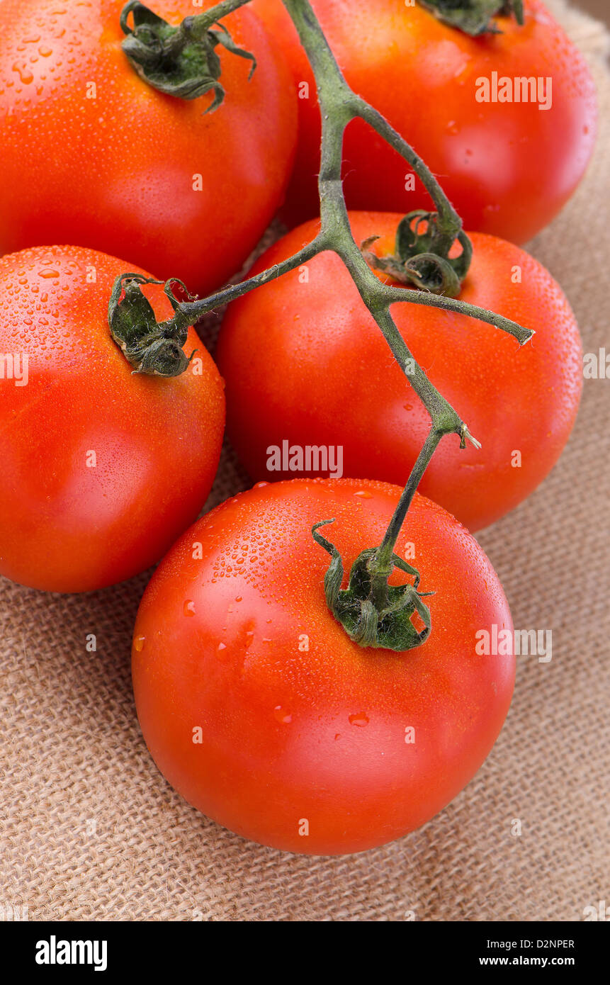 Cherry Tomatoes on the vine over raffia background Stock Photo - Alamy
