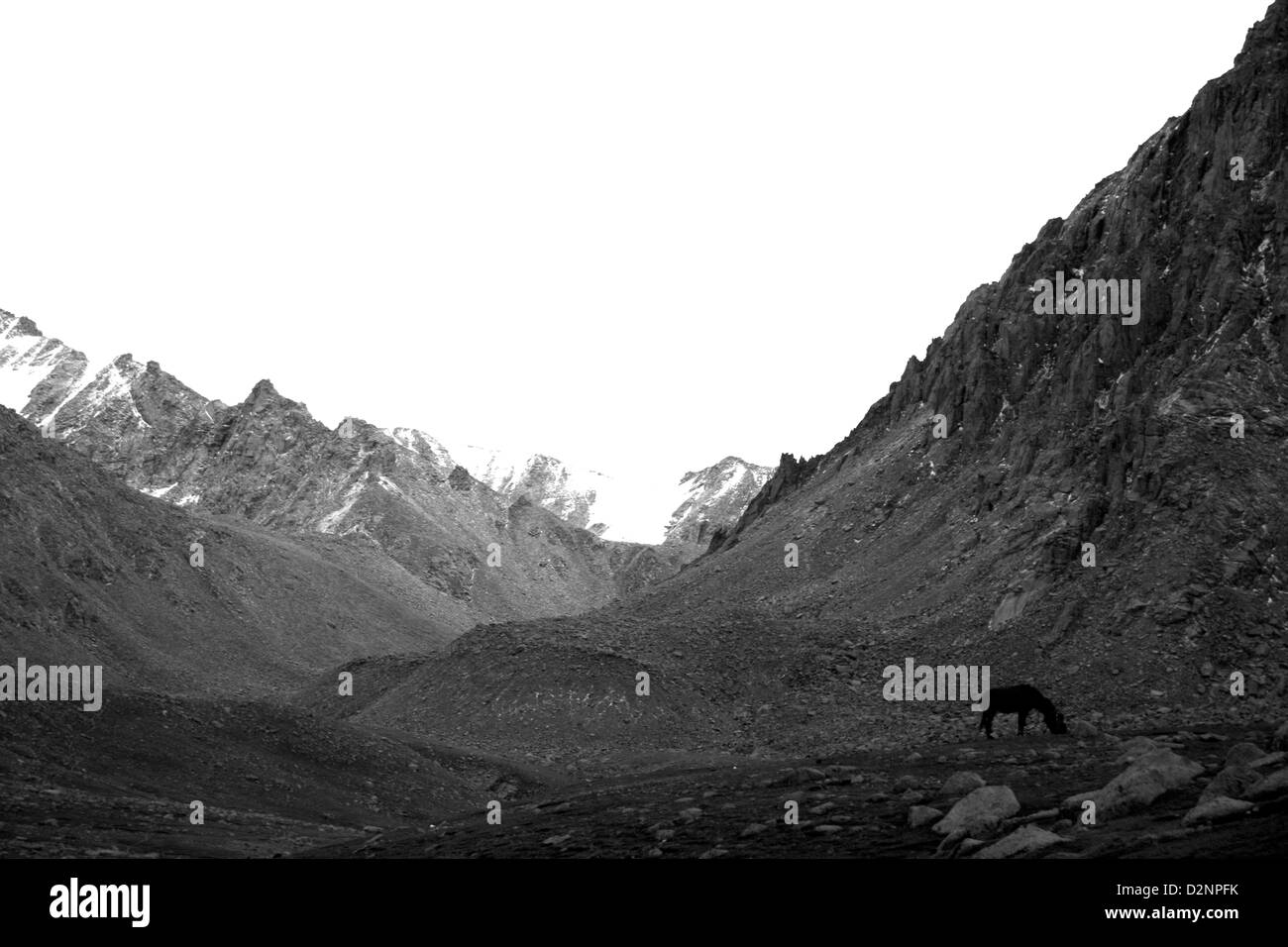 Panorama himalayan mountain range Black and White Stock Photos & Images ...