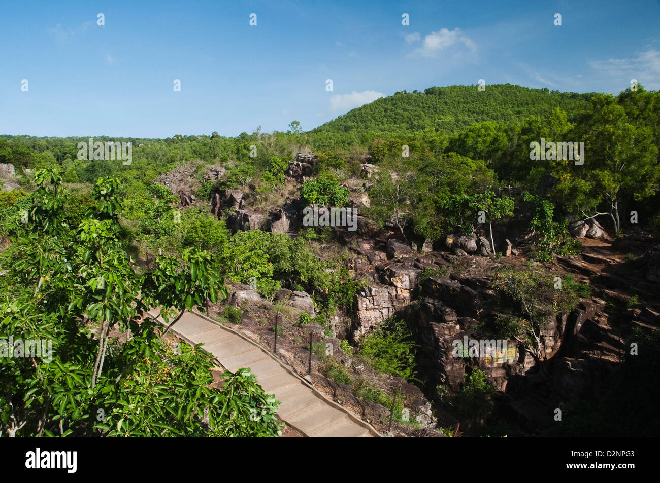 Trail passing through a forest, Tirupati, Chittoor District, Andhra ...