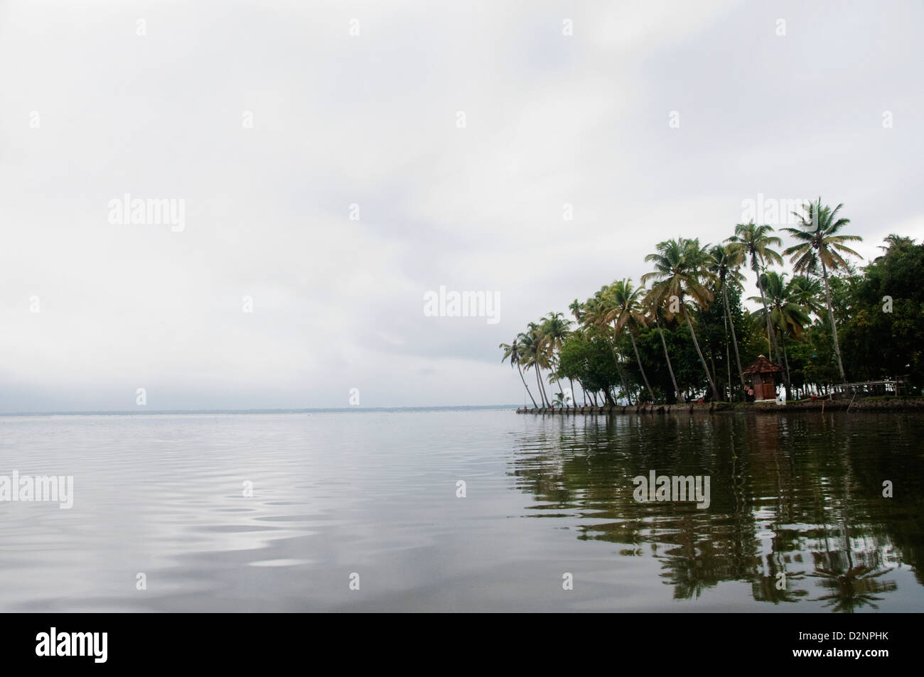 Reflection of trees in a river, Tirupati, Chittoor District, Andhra ...
