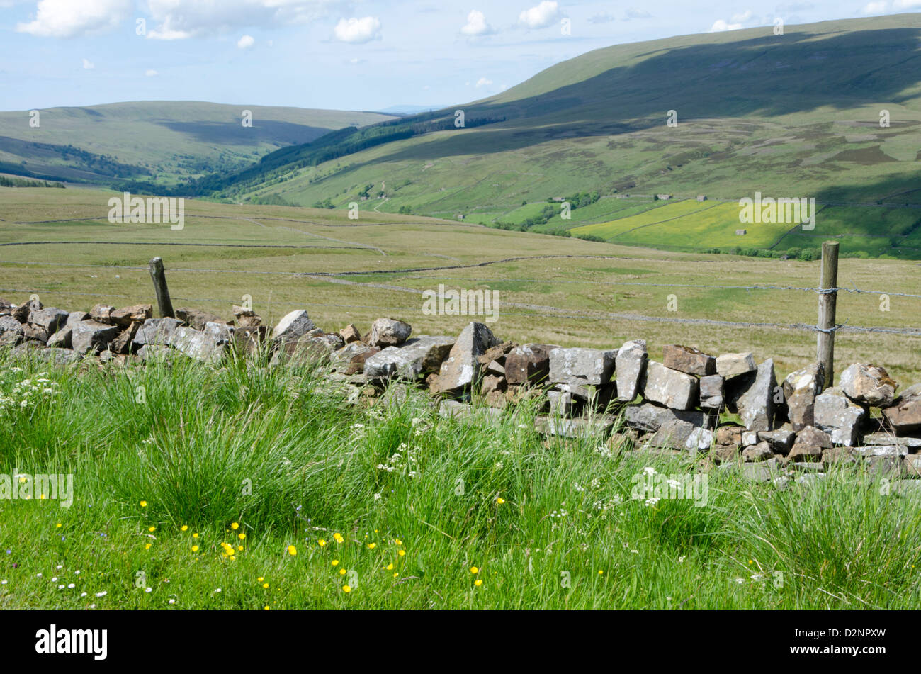Dry stone wall, fields and hills, between Garsdale and Dent, Cumbria ...