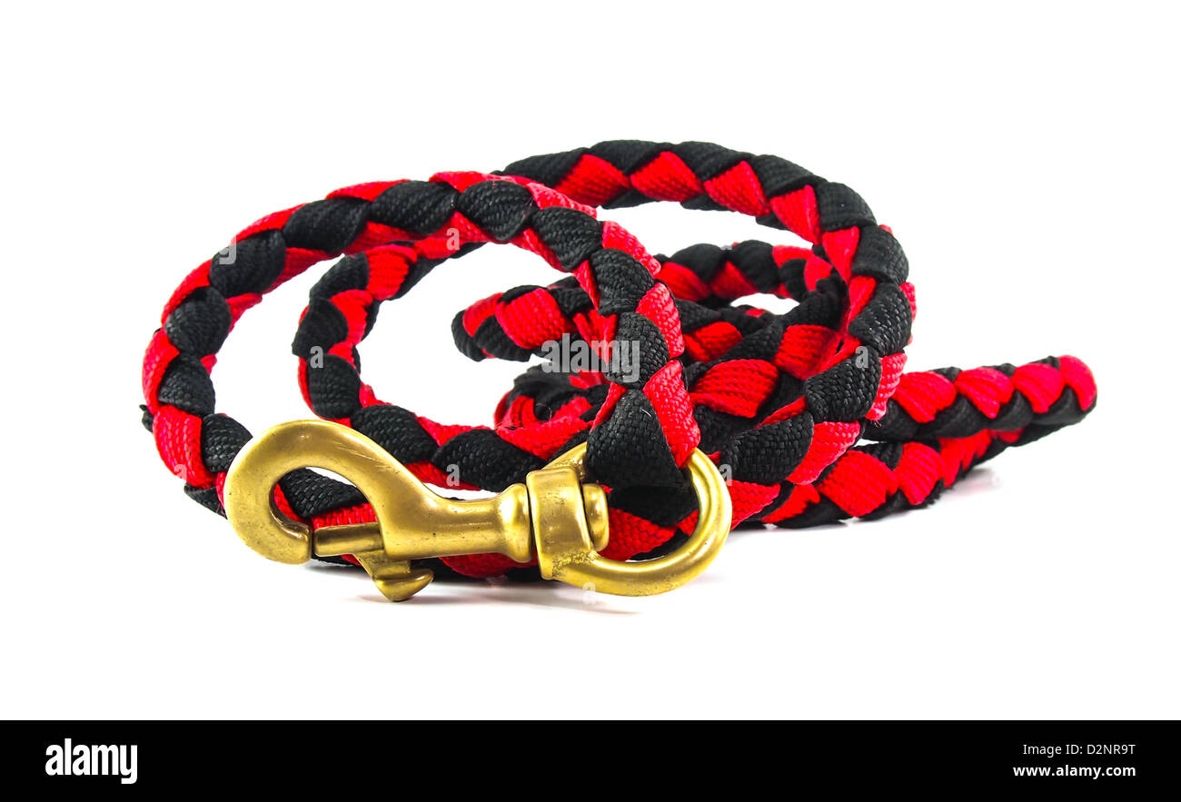 Leash domestic Cut Out Stock Images & Pictures - Alamy