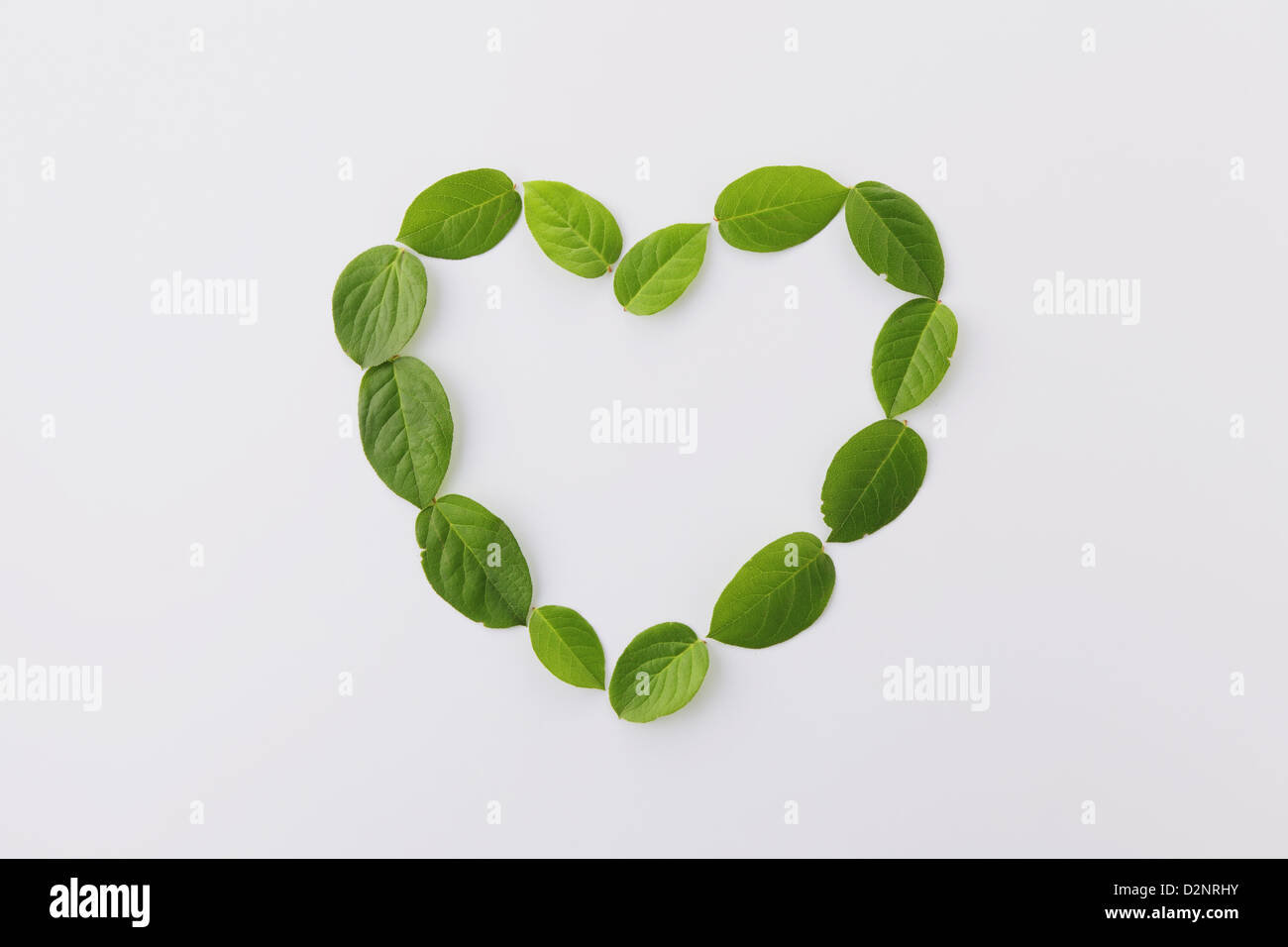 Simple leaf arrangement hi-res stock photography and images - Alamy