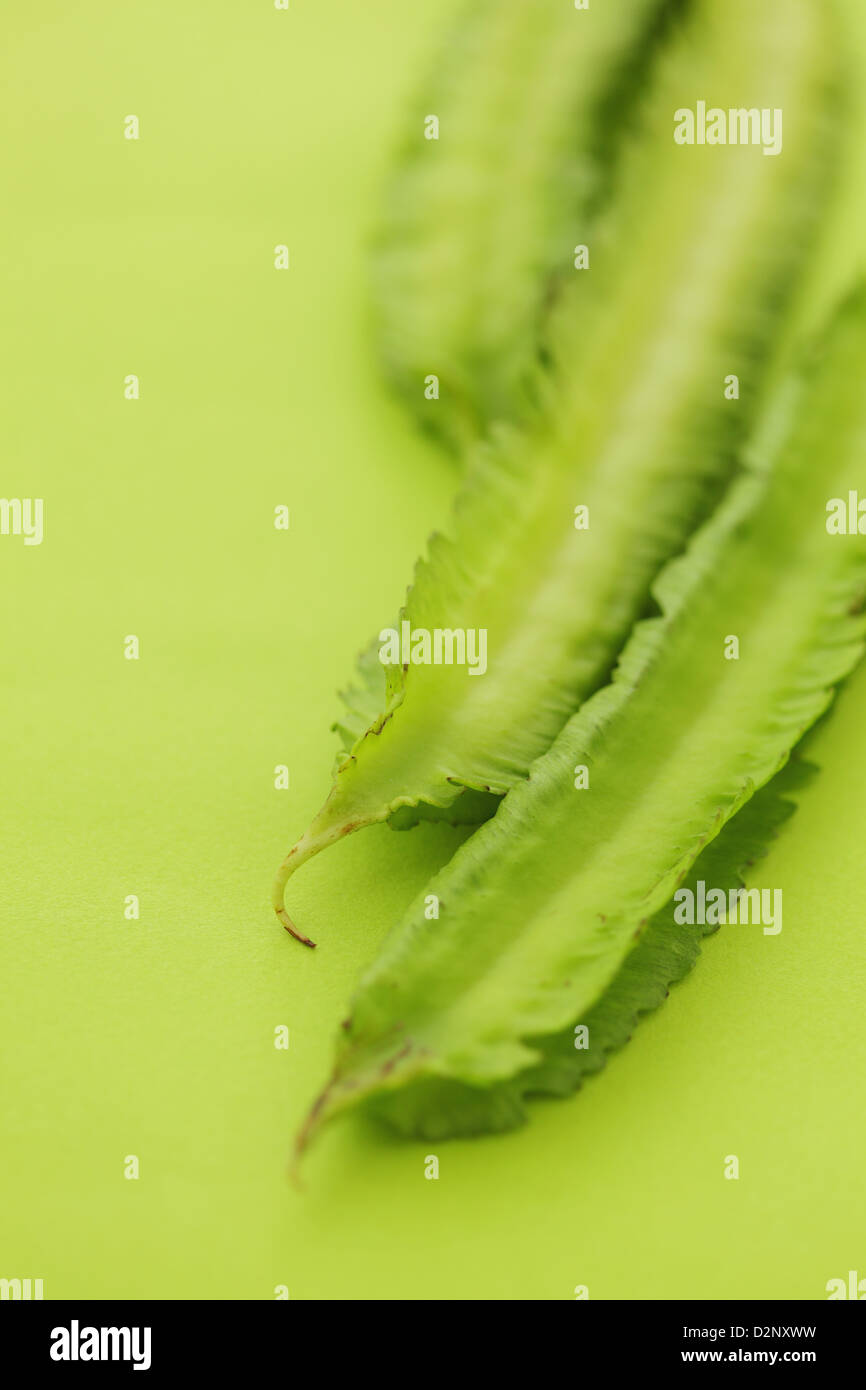 Goa beans hi-res stock photography and images - Alamy