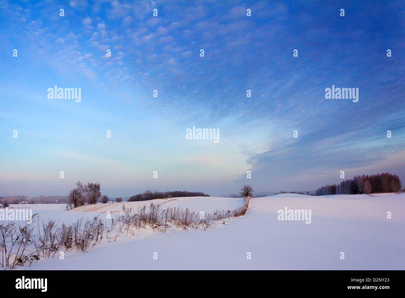 Winter landscape with evening light of sunset Stock Photo - Alamy
