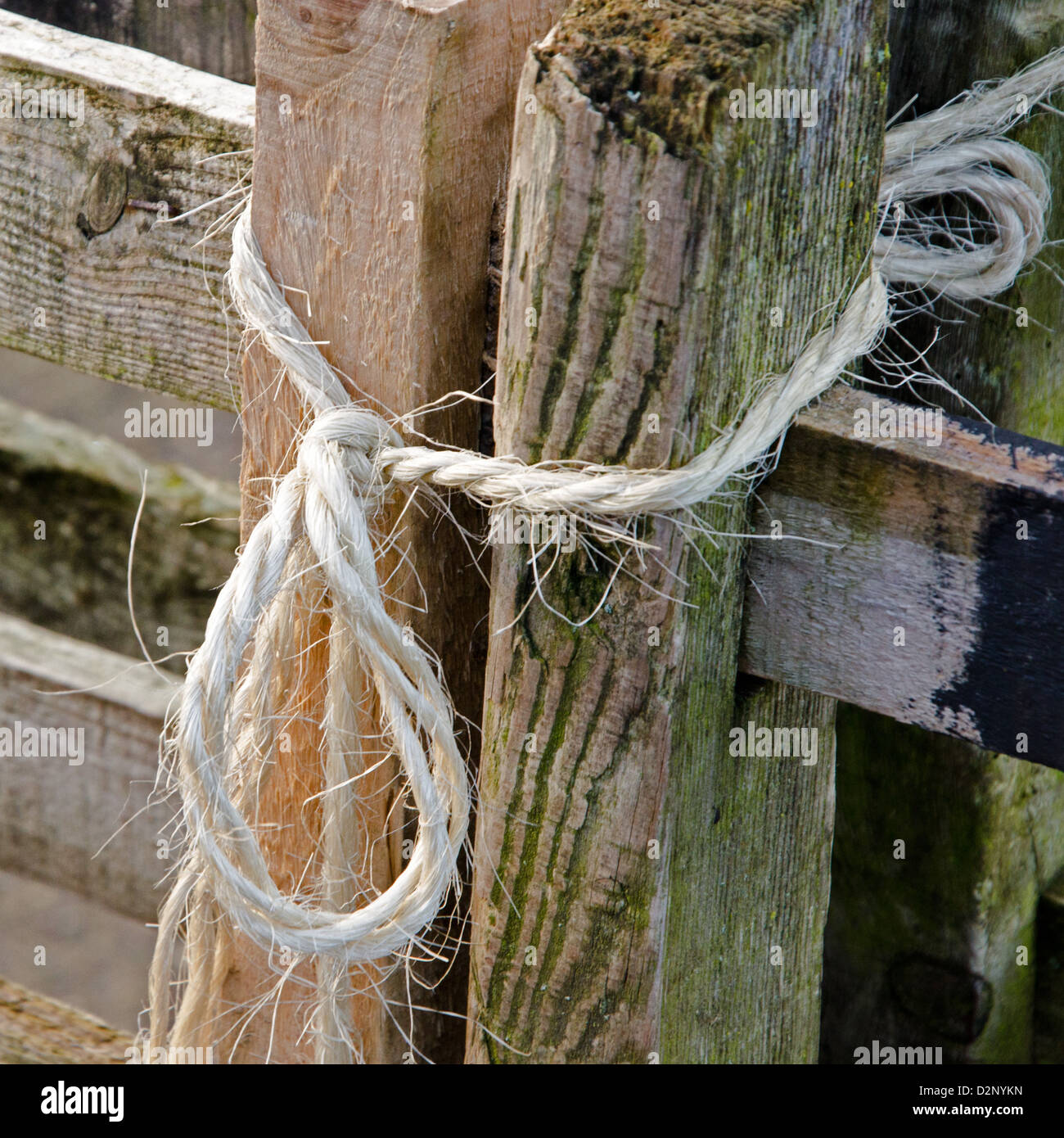 Knot string hi-res stock photography and images - Alamy