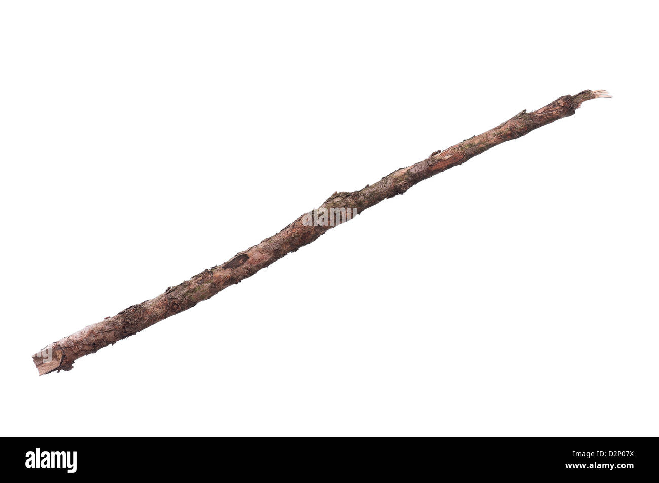 Single dry tree branch - isolated on white background Stock Photo - Alamy