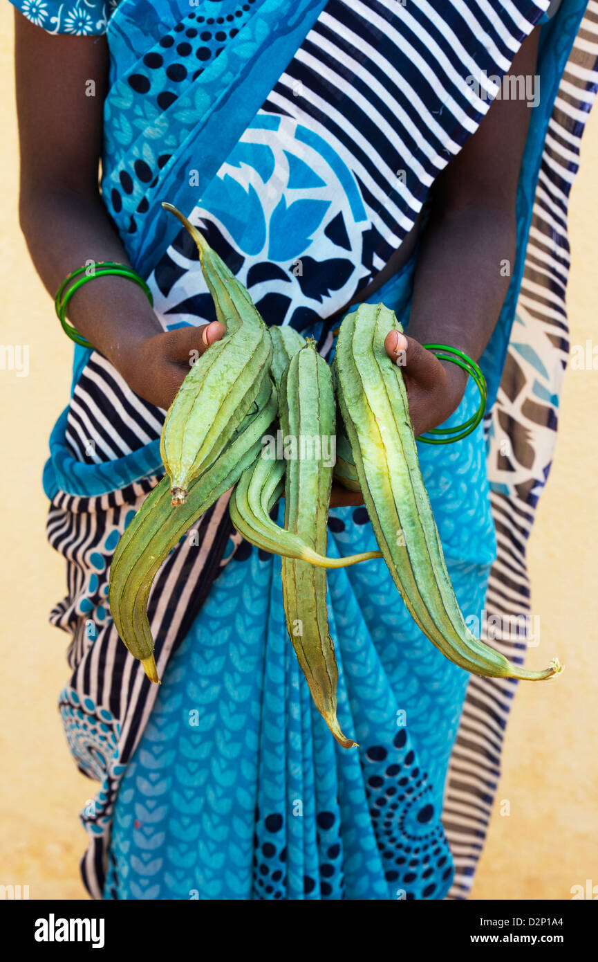 Gourds produce seed vegetable hi-res stock photography and images - Alamy