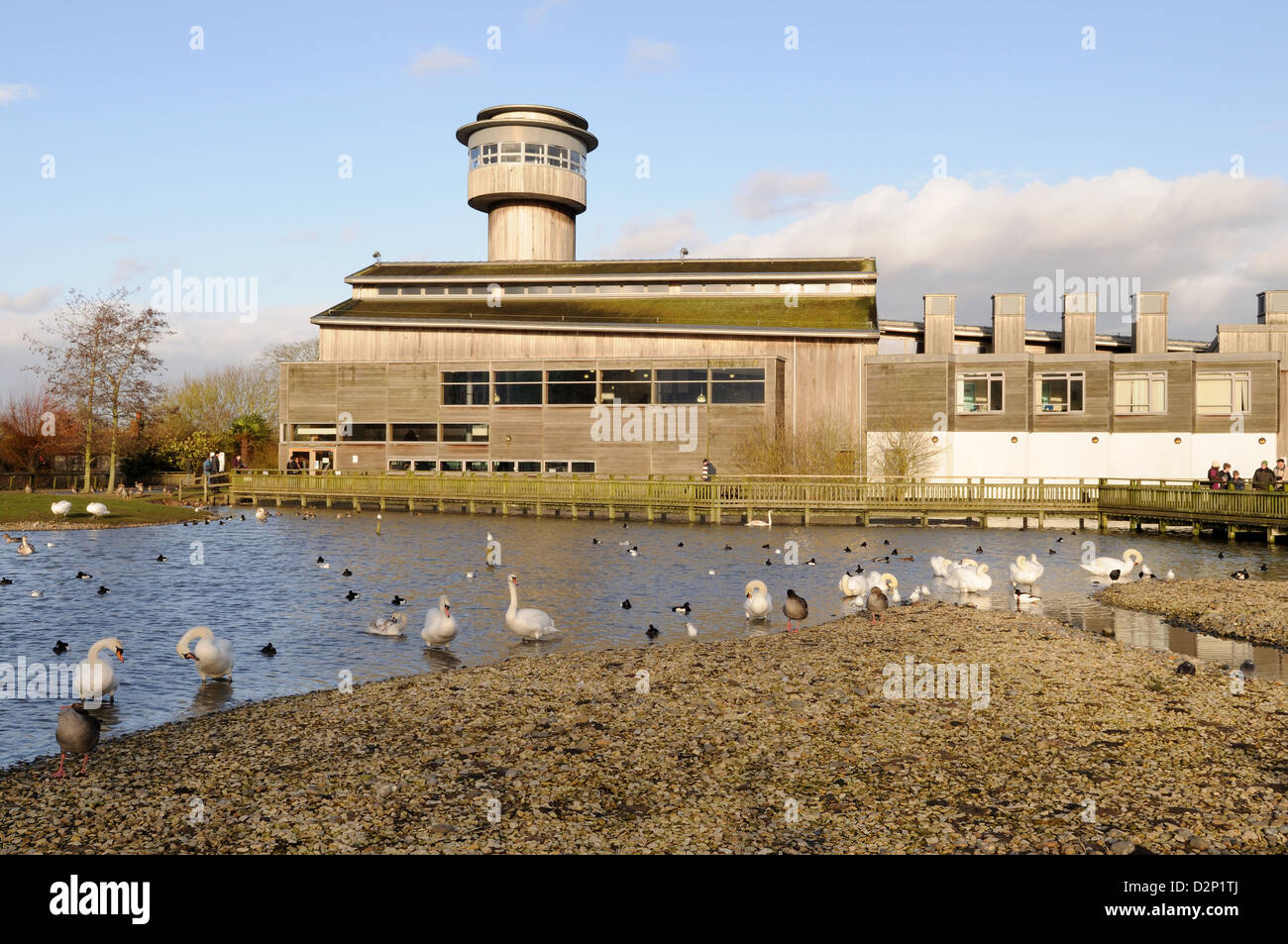Slimbridge england hi-res stock photography and images - Alamy