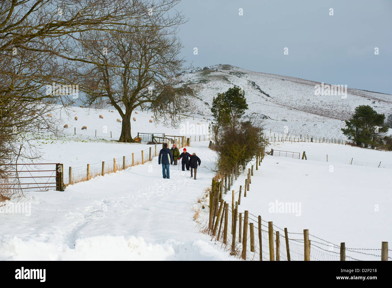 Gaerstone in Winter Snow, Church Stretton, Shropshire Hills Stock Photo ...