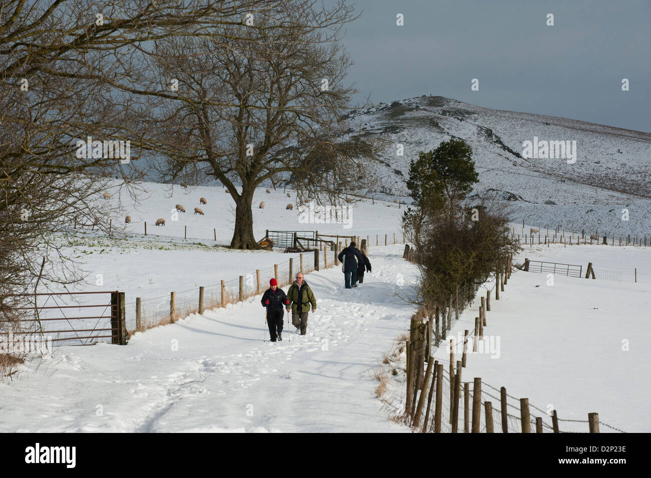 Winter in the hills hi-res stock photography and images - Alamy