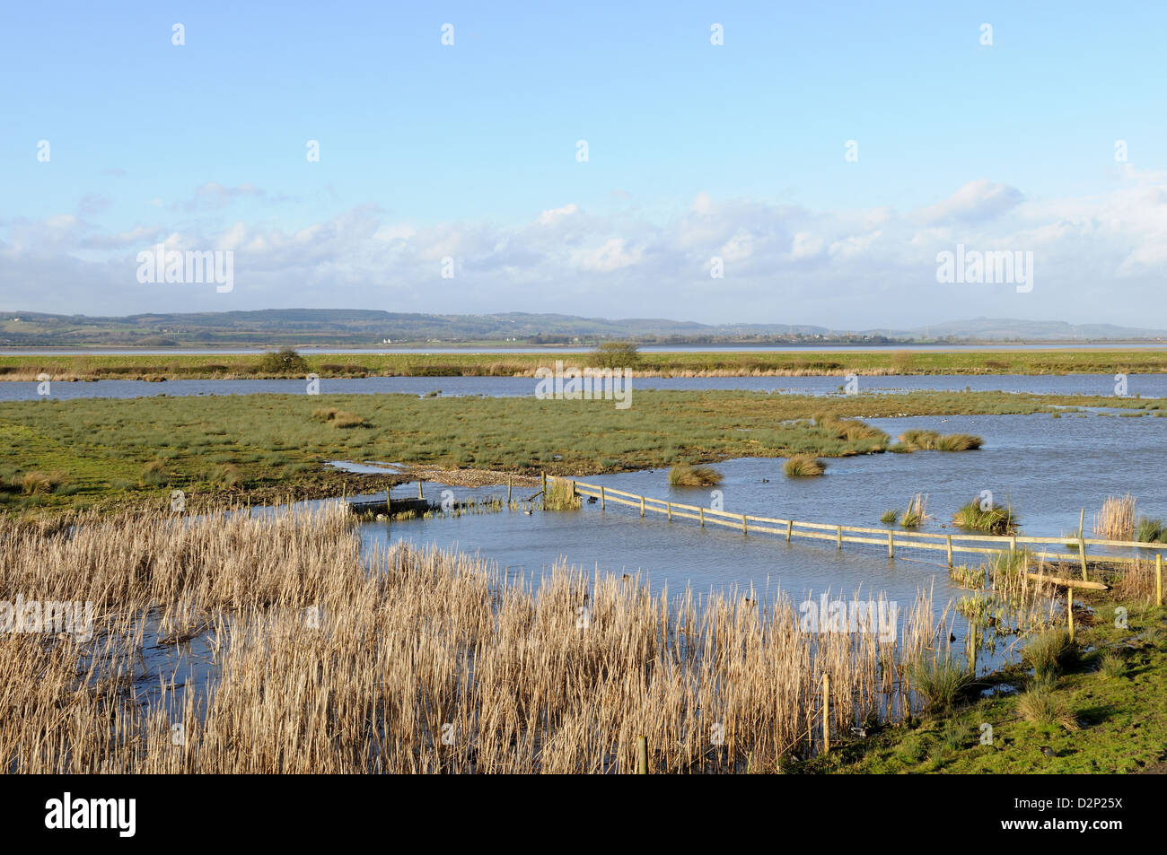 Wetlands a hi-res stock photography and images - Alamy
