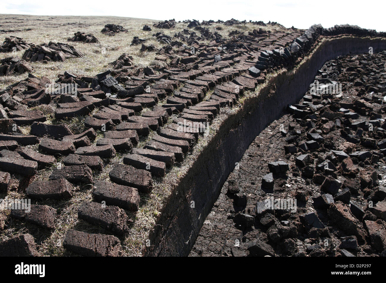 Cutting and drying peat on the moors of Sandsting Stock Photo - Alamy
