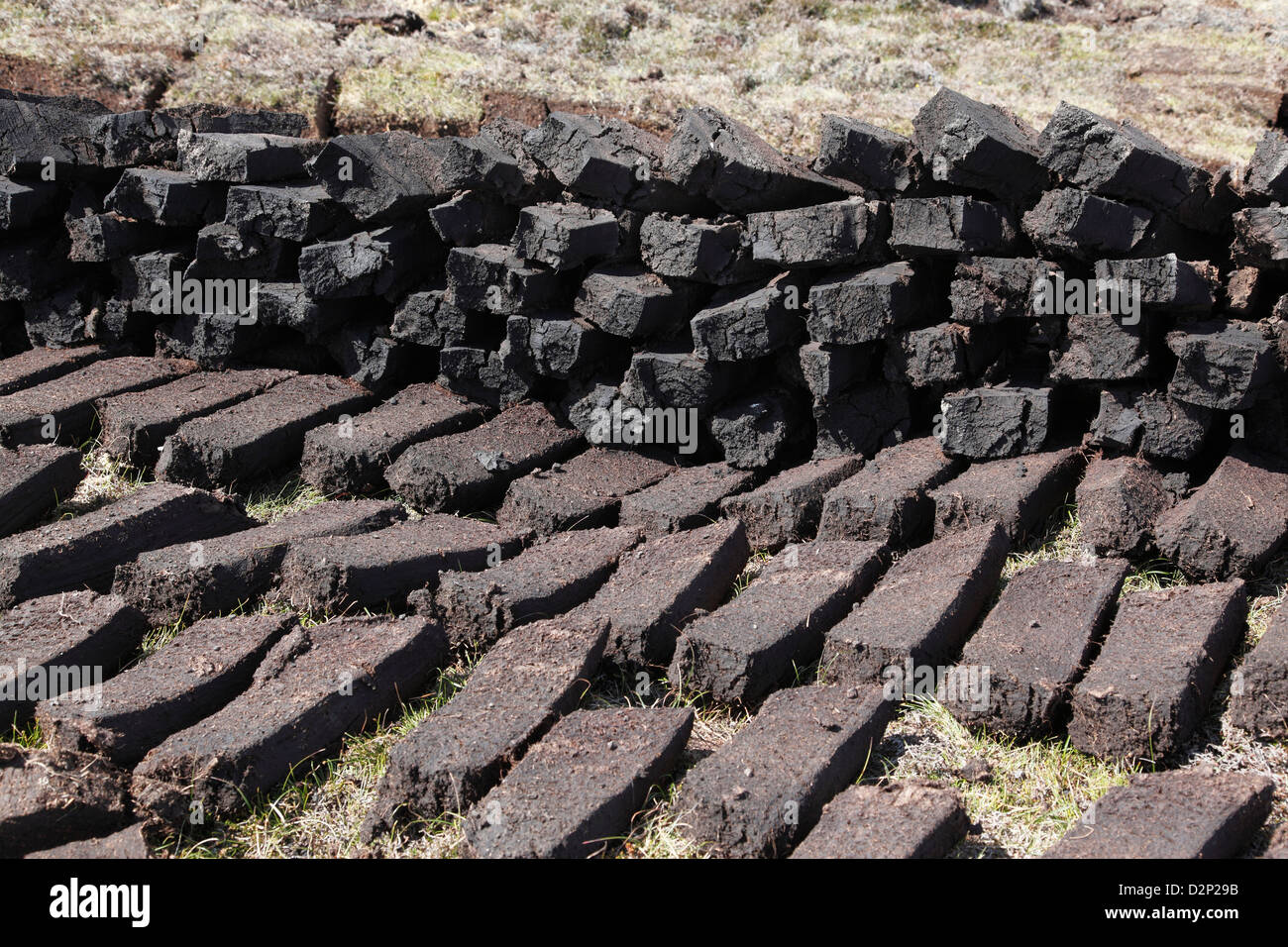 Cutting and drying of peat on the moors at Sandsting Stock Photo - Alamy