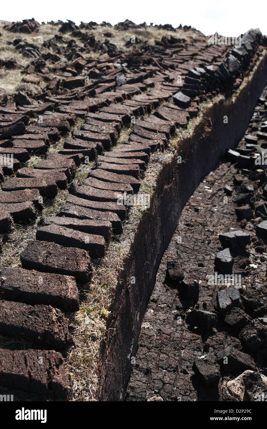 Cutting and drying of peat on the moors at Sandsting Stock Photo - Alamy