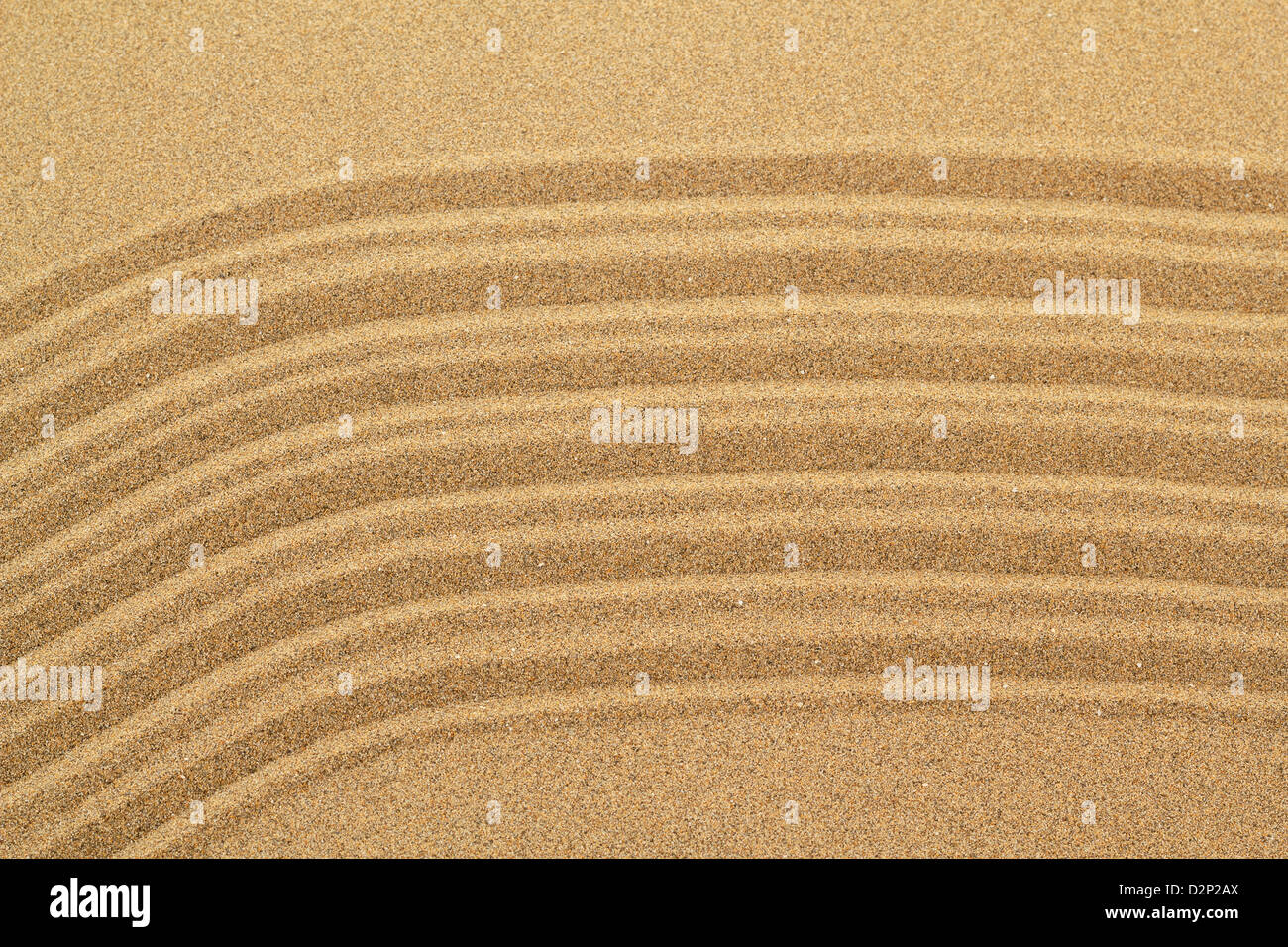 Sandy beach background with lines. Detailed sand texture. Top view ...