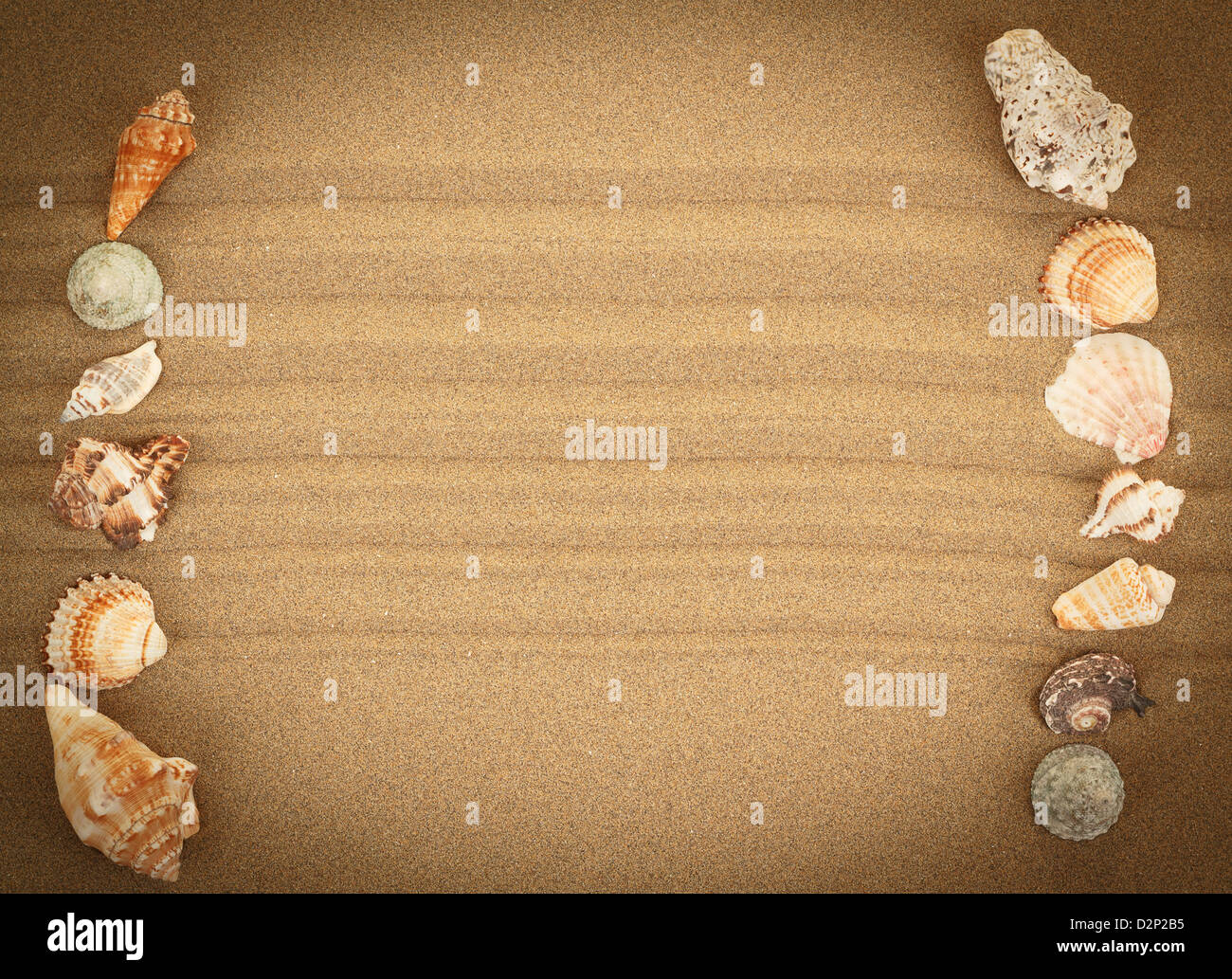 sea shells with sand as background or backdrop Stock Photo - Alamy