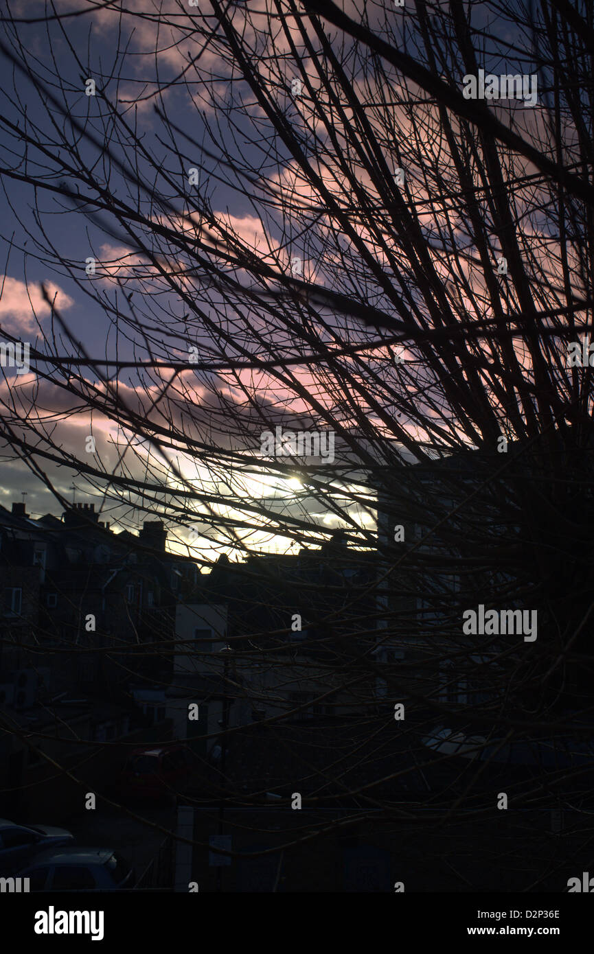 Sky scenery through the tree branch Stock Photo - Alamy