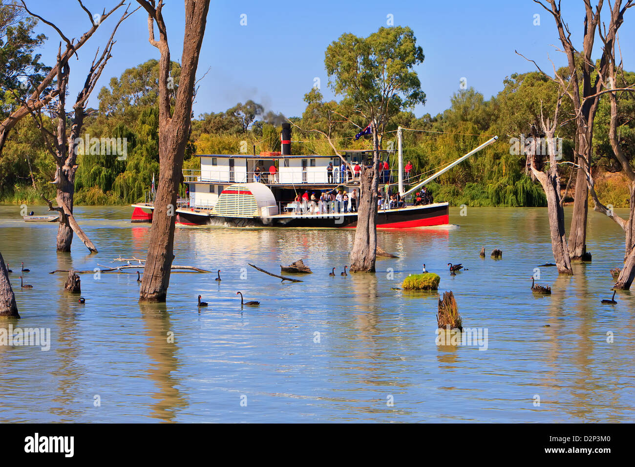 Paddle Steamer making it's way along the Murray River near the ...