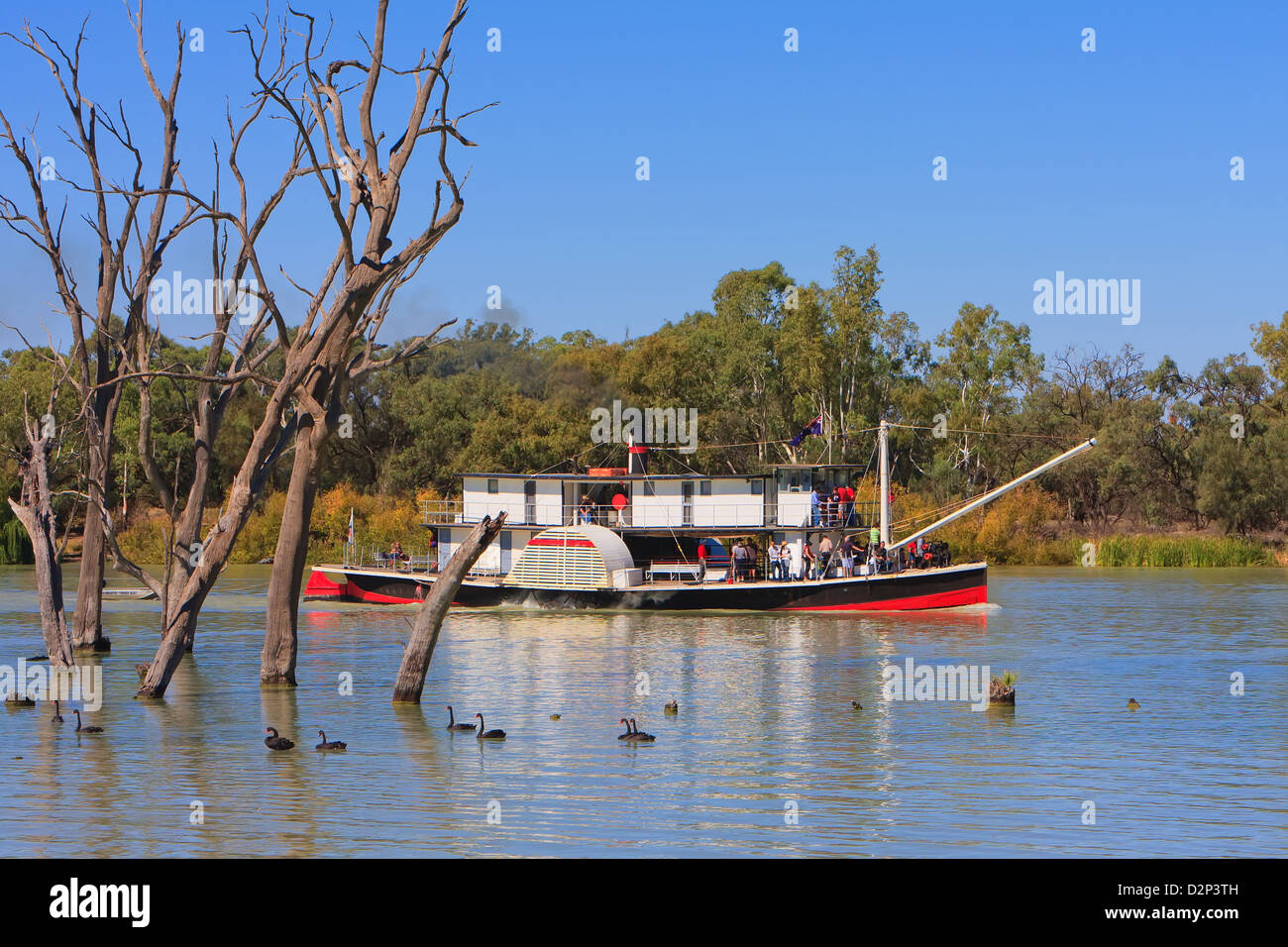 Paddle Steamer making it's way along the Murray River near the ...