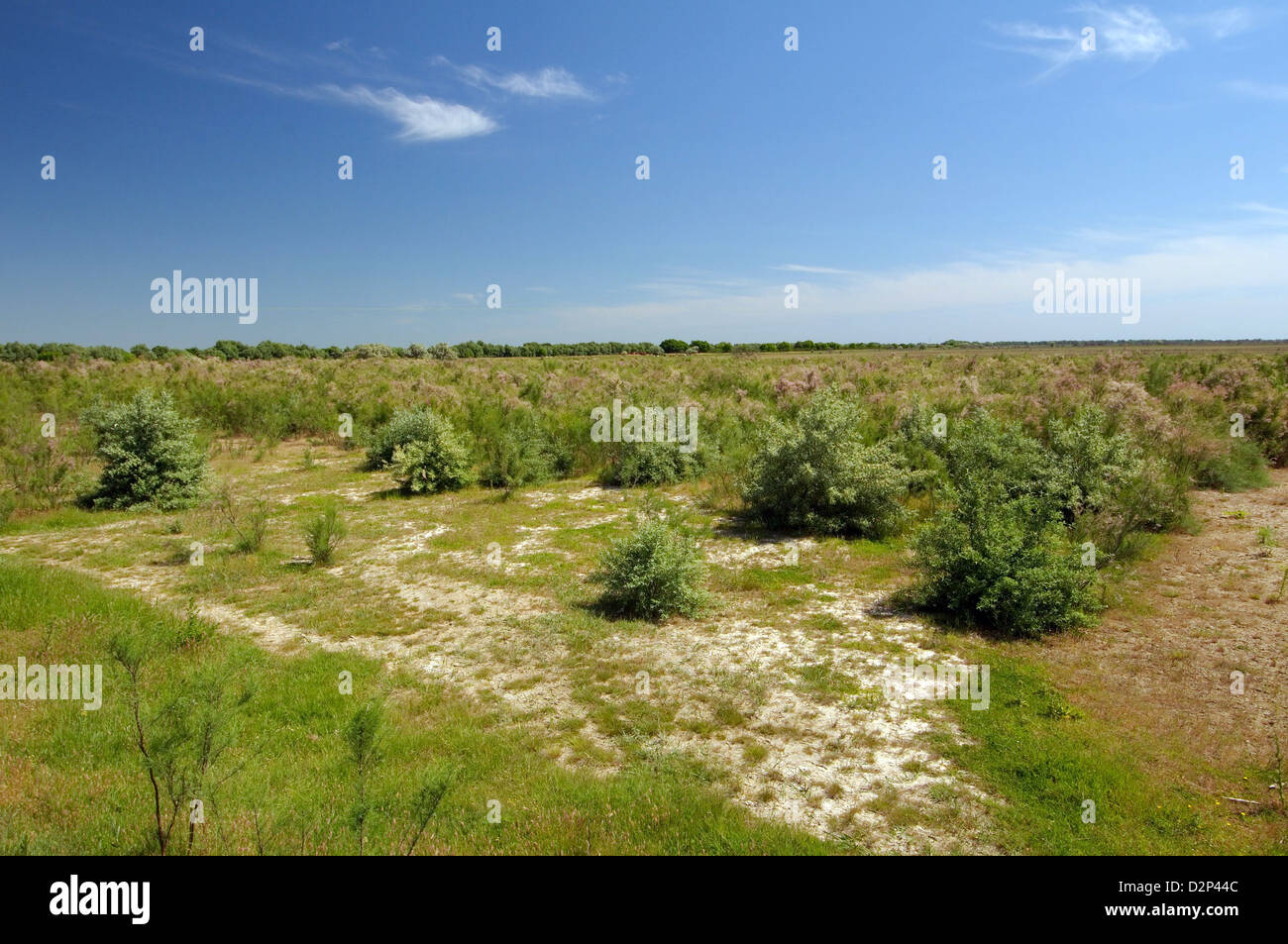 Ukraine landscape hi-res stock photography and images - Alamy