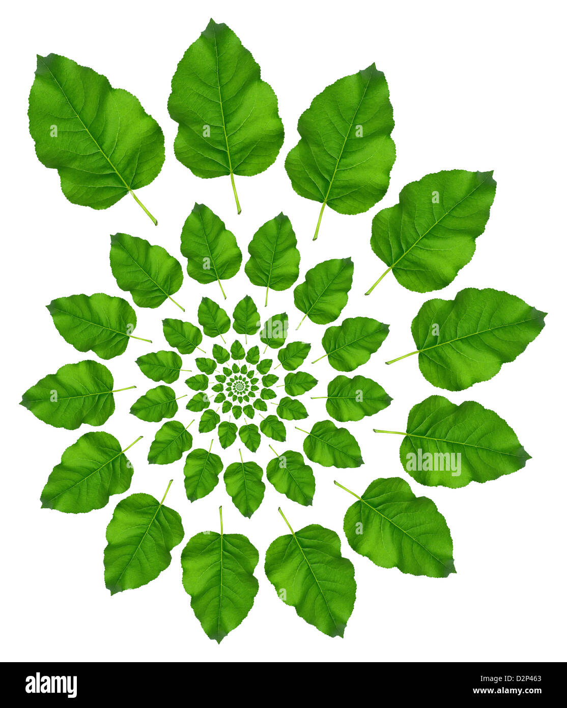 Green Leaf Pattern Stock Photo - Alamy