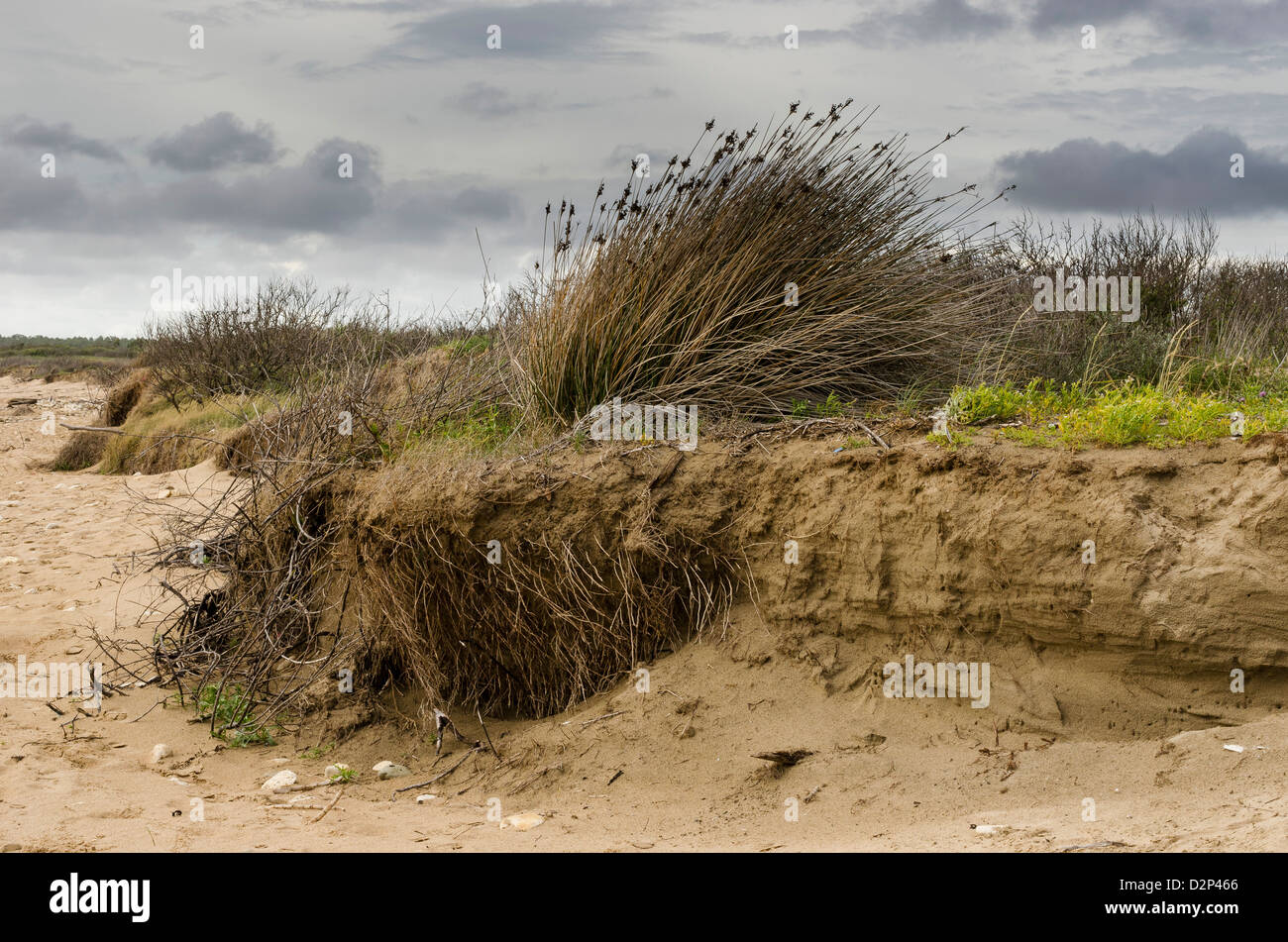 Attack of the gray ( grey ) dune after the destruction of the front ...