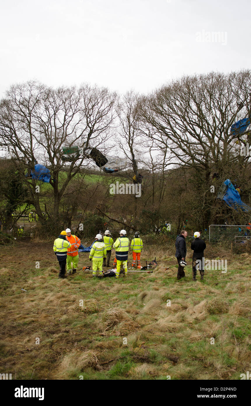 Baliffs look on at anti-road protesters in tree houses Stock Photo - Alamy