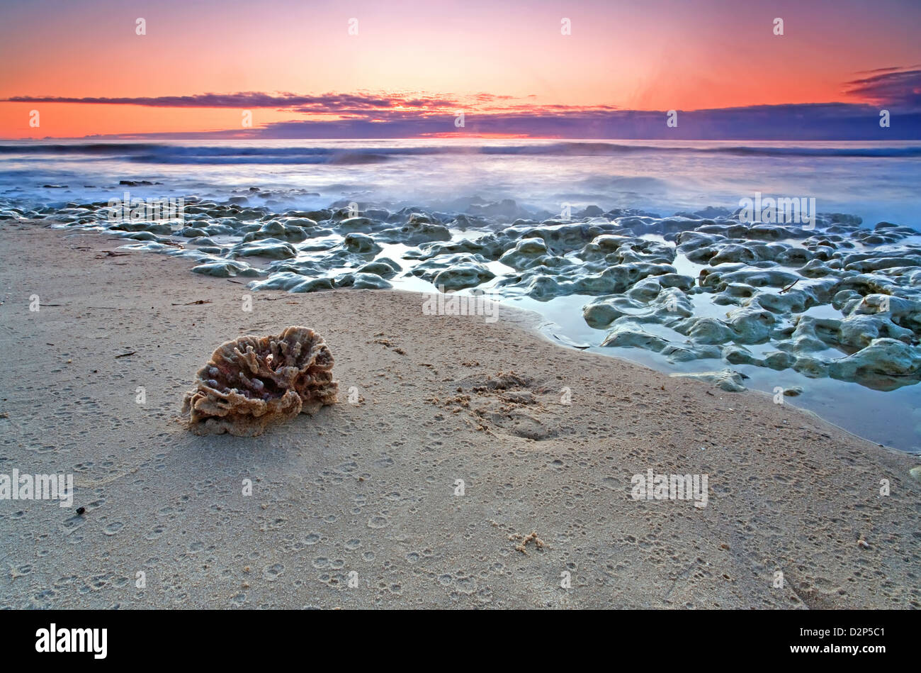 Coastal shoreline sandy hi-res stock photography and images - Alamy