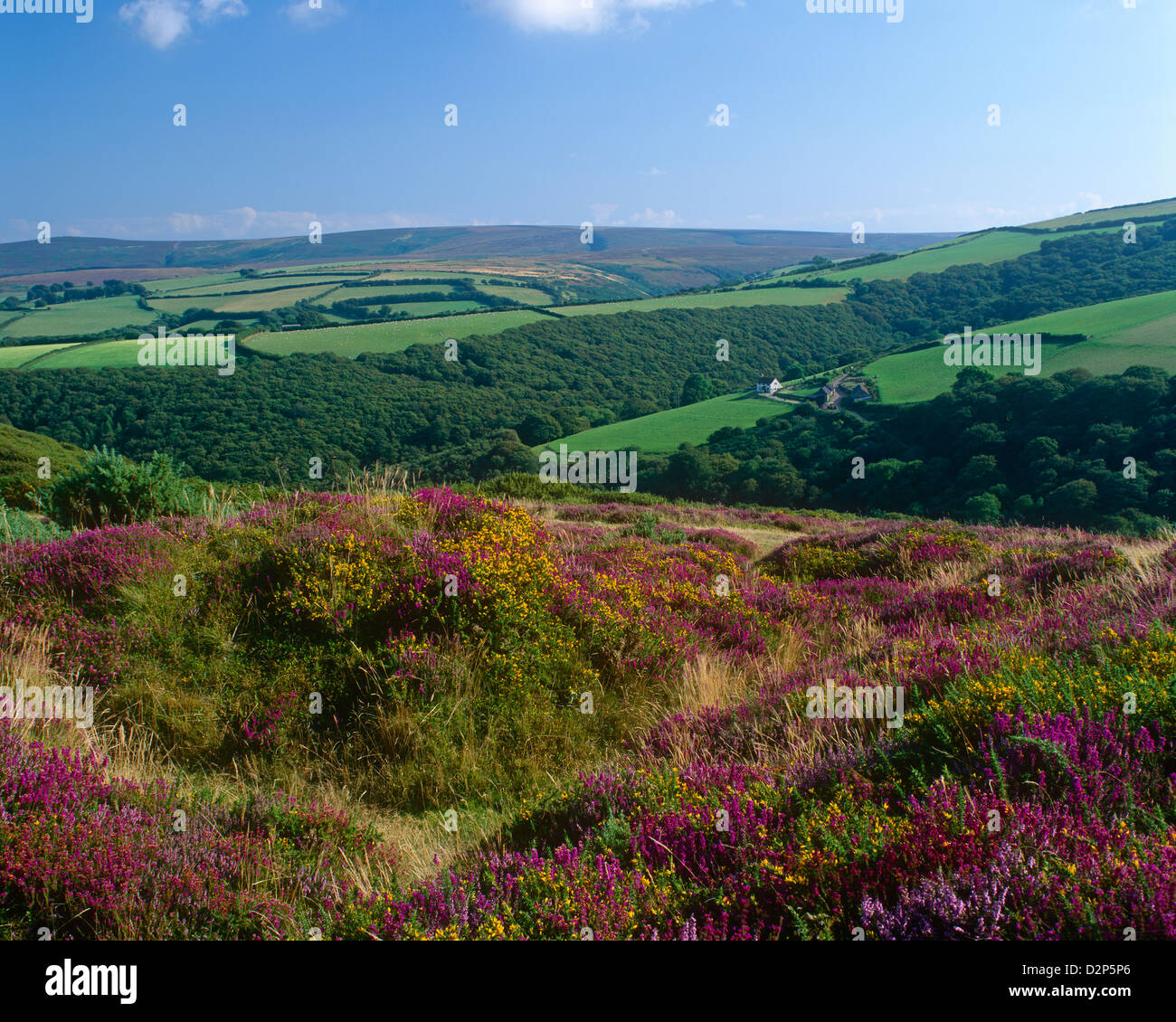 Exmoor, Somerset, England, UK Stock Photo - Alamy