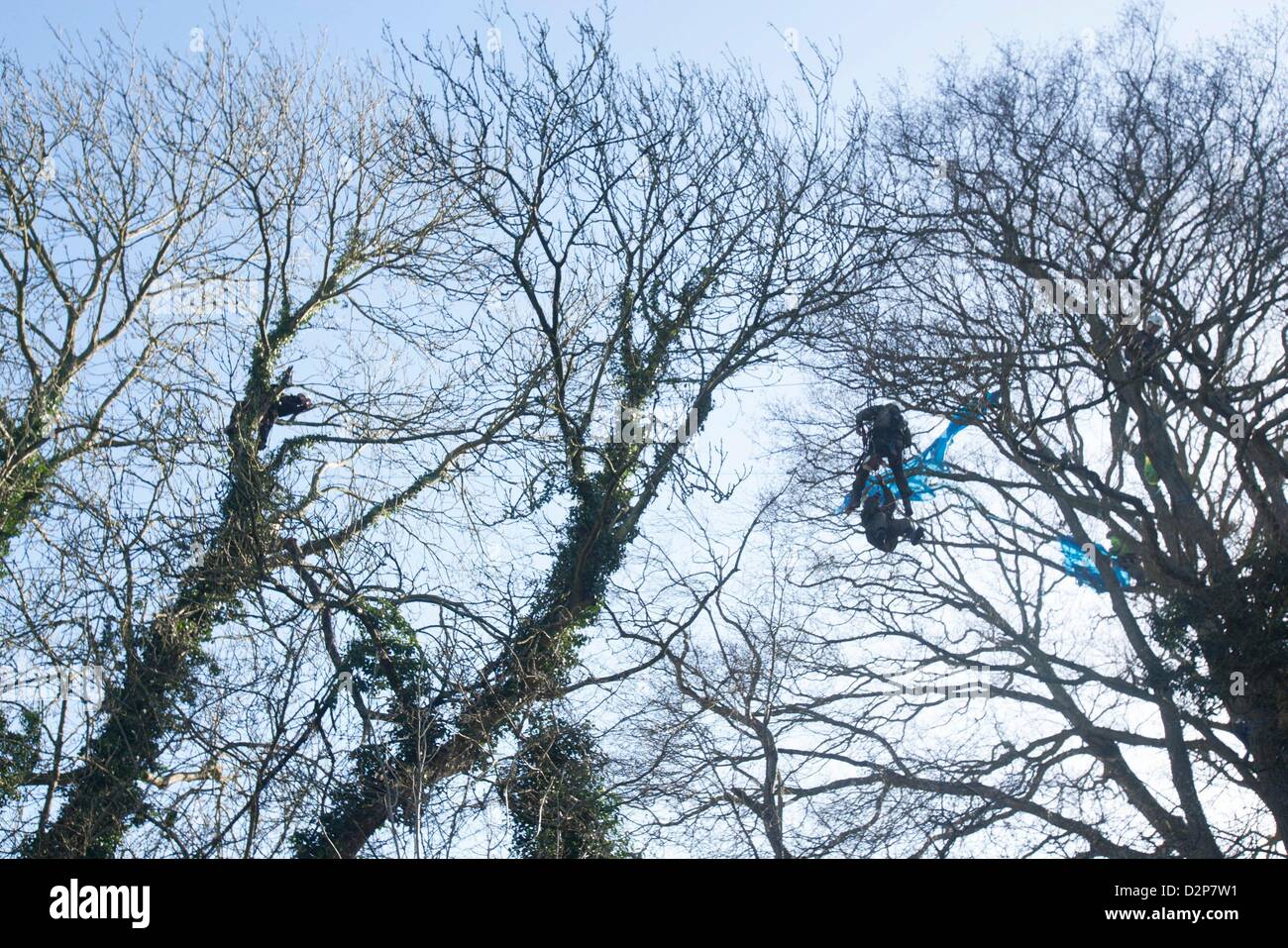 the last protestors are removed from the trees at the decoy pond Combe ...