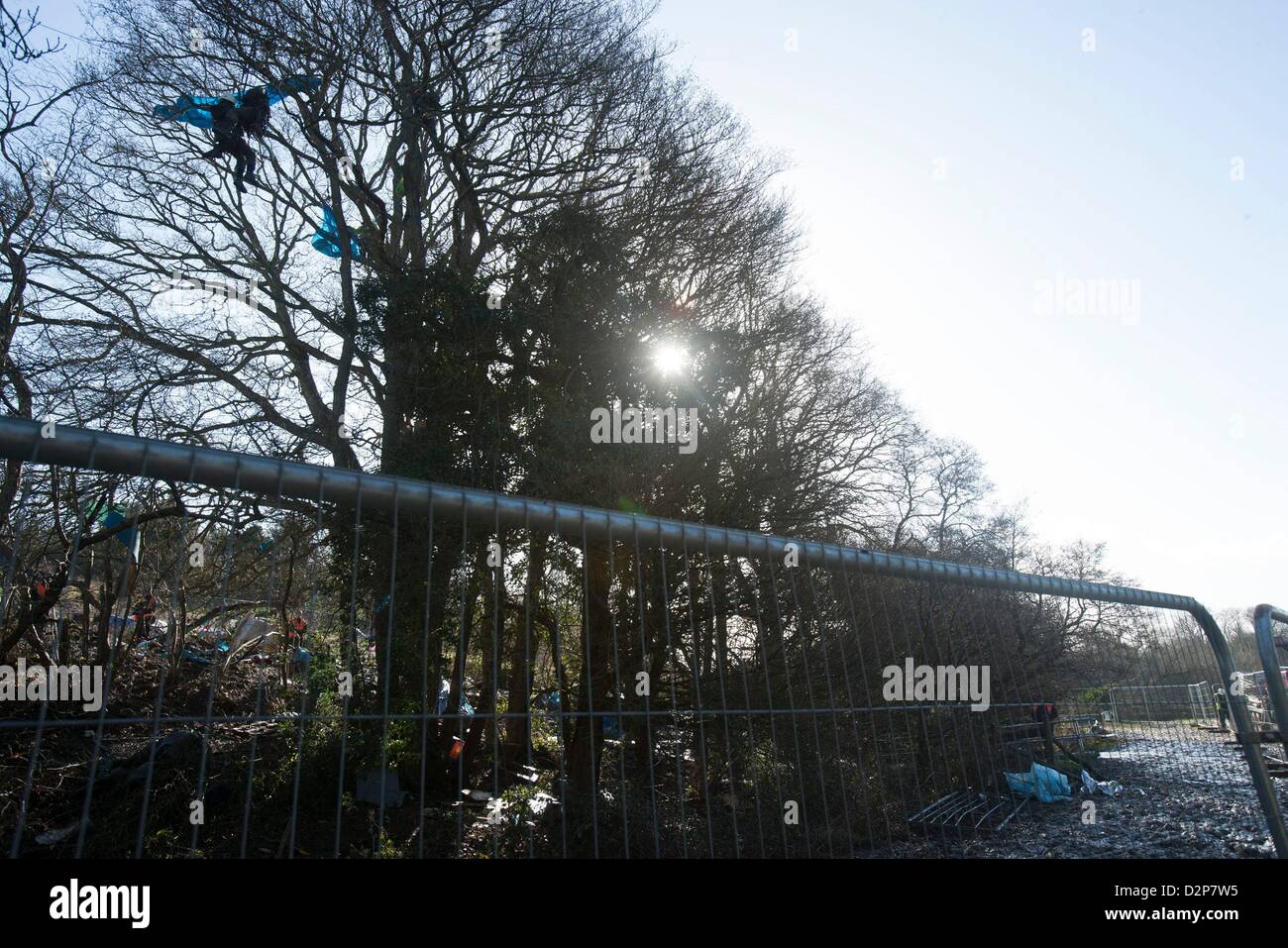 the last protestors are removed from the trees at the decoy pond Combe ...