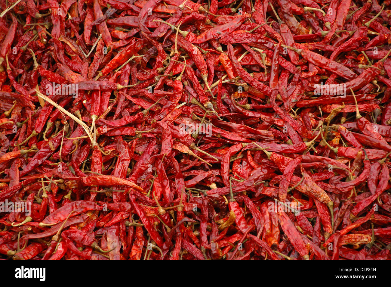 Chills hi-res stock photography and images - Alamy