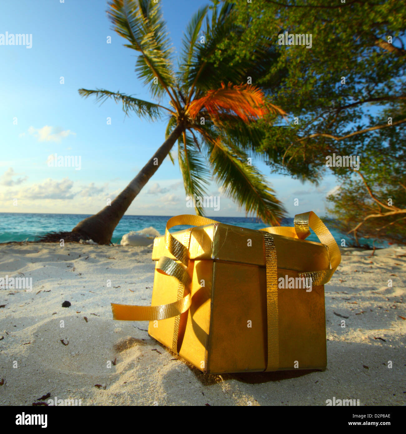 golden gift on ocean beach under palm Stock Photo - Alamy