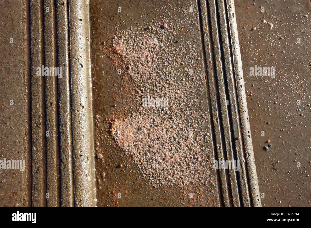 Melt snow hi-res stock photography and images - Alamy