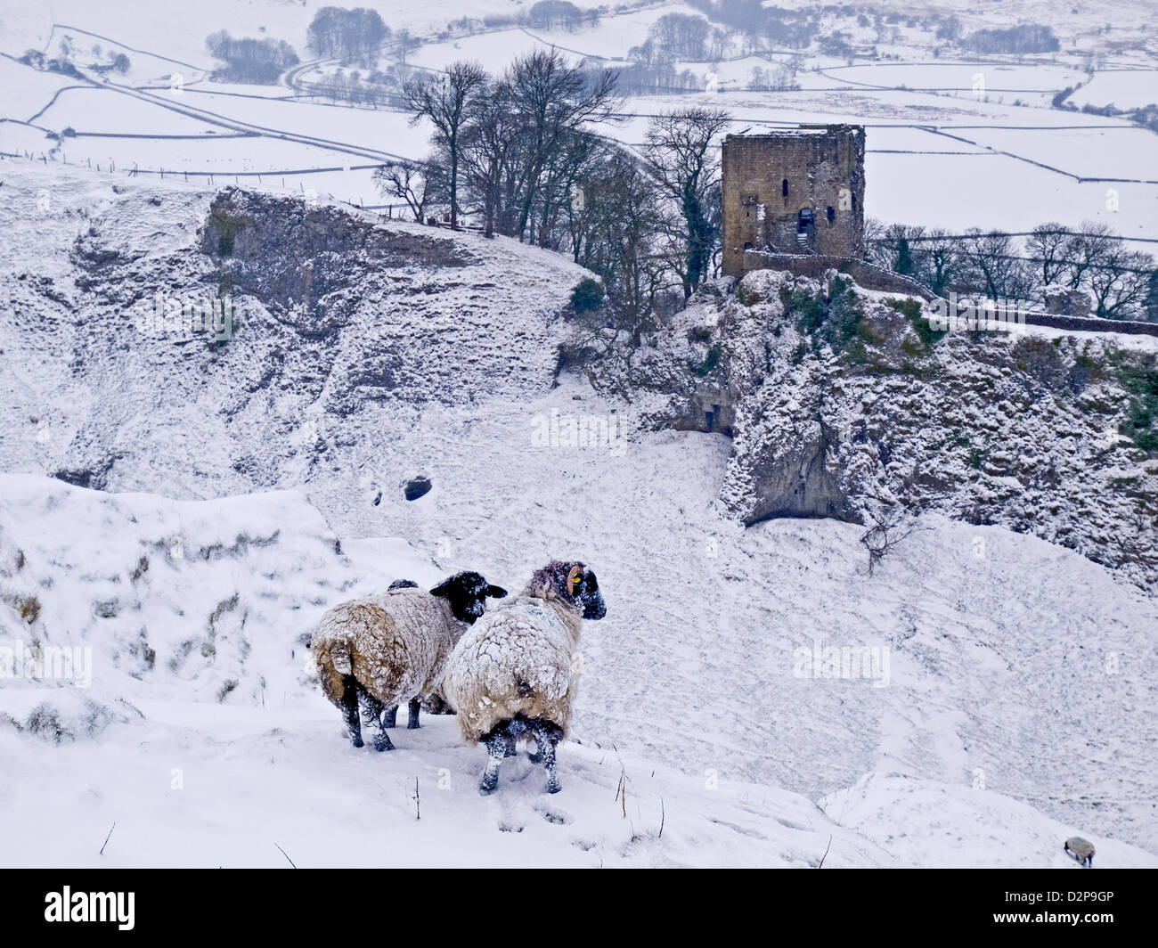 Peveril Castle in winter, Peak District National Park, UK Stock Photo ...