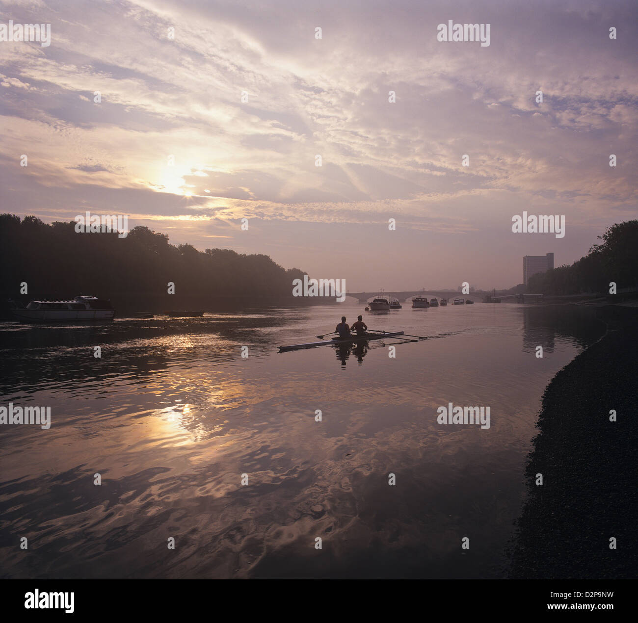 Early morning on the River Thames at Putney with rowers coming upstream ...