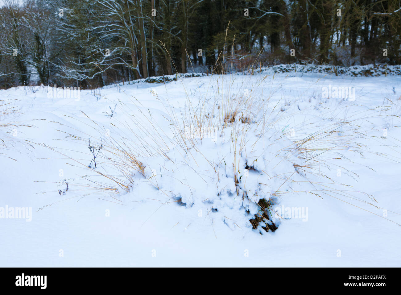 Stanway Cotswold Hills Cotswolds Tbc High Resolution Stock Photography and Images - Alamy