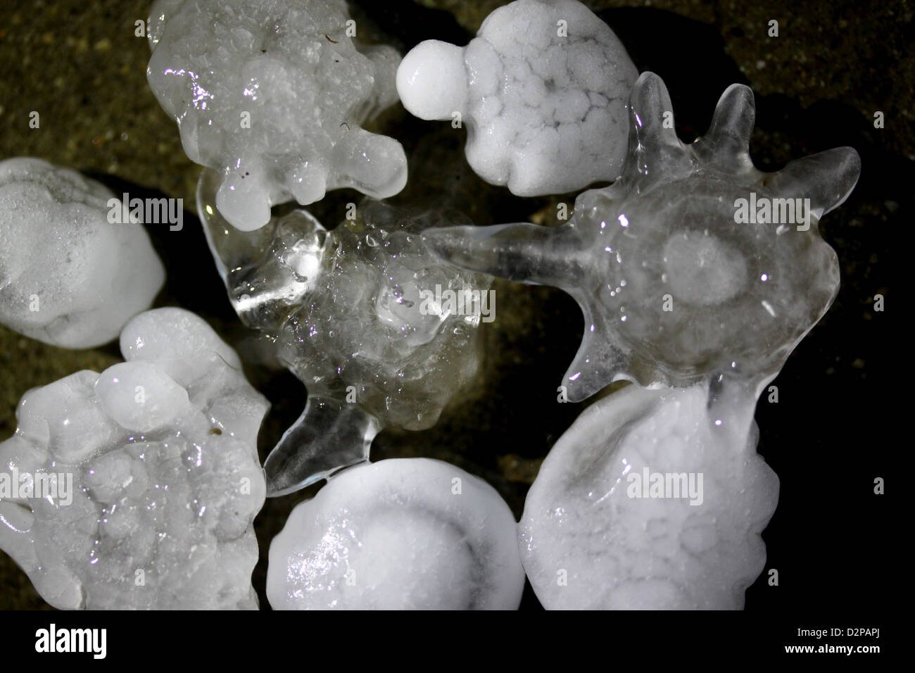 Large hail stone quarter size ice storm Stock Photo - Alamy