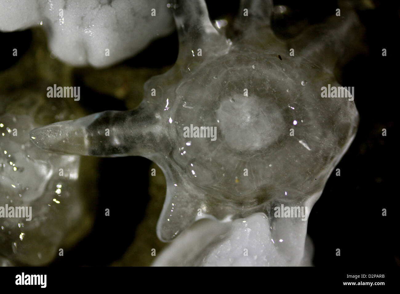 Large hail stone quarter size ice storm Stock Photo - Alamy