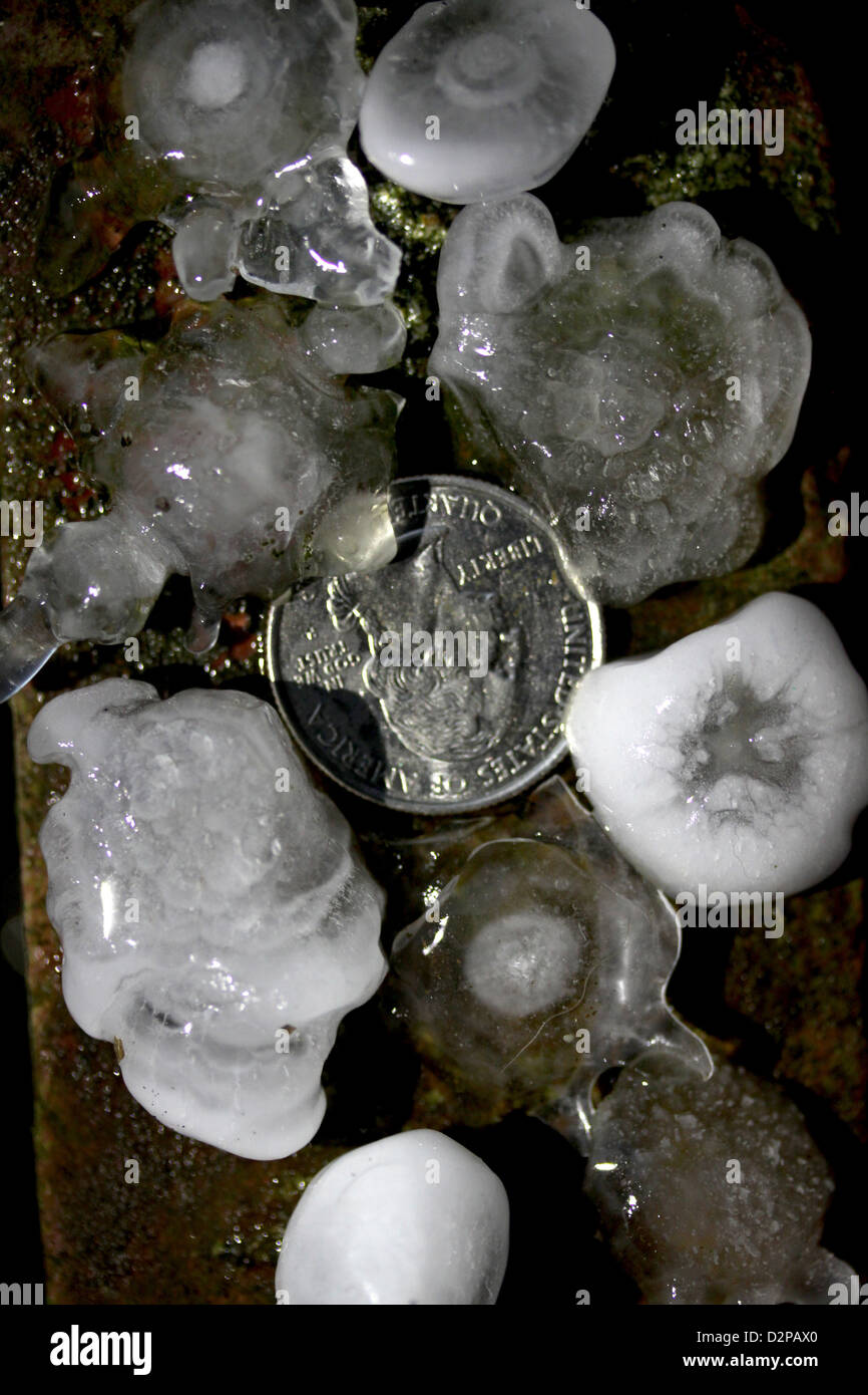 Large hail stone quarter size ice storm Stock Photo - Alamy