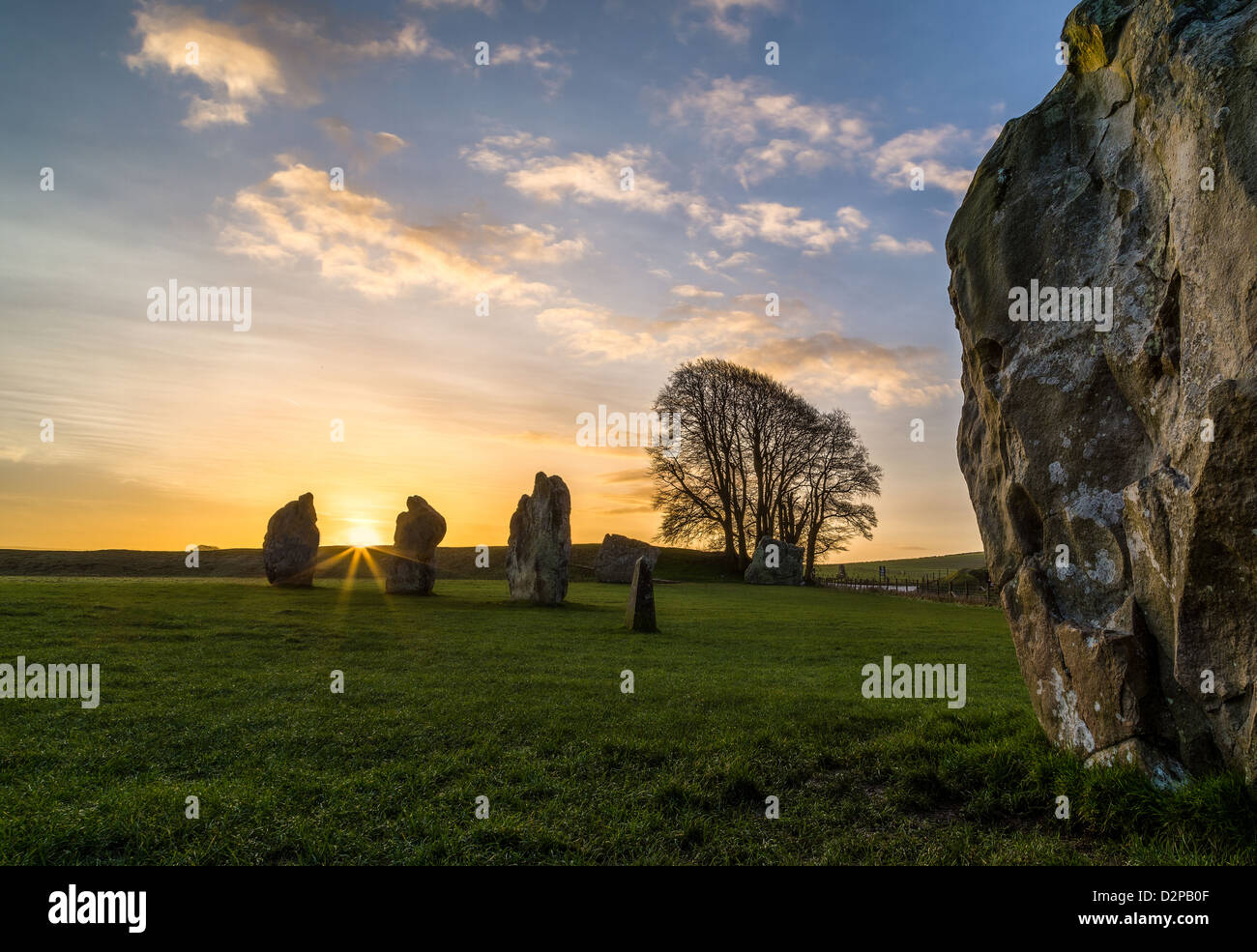 Avebury trees hi-res stock photography and images - Alamy