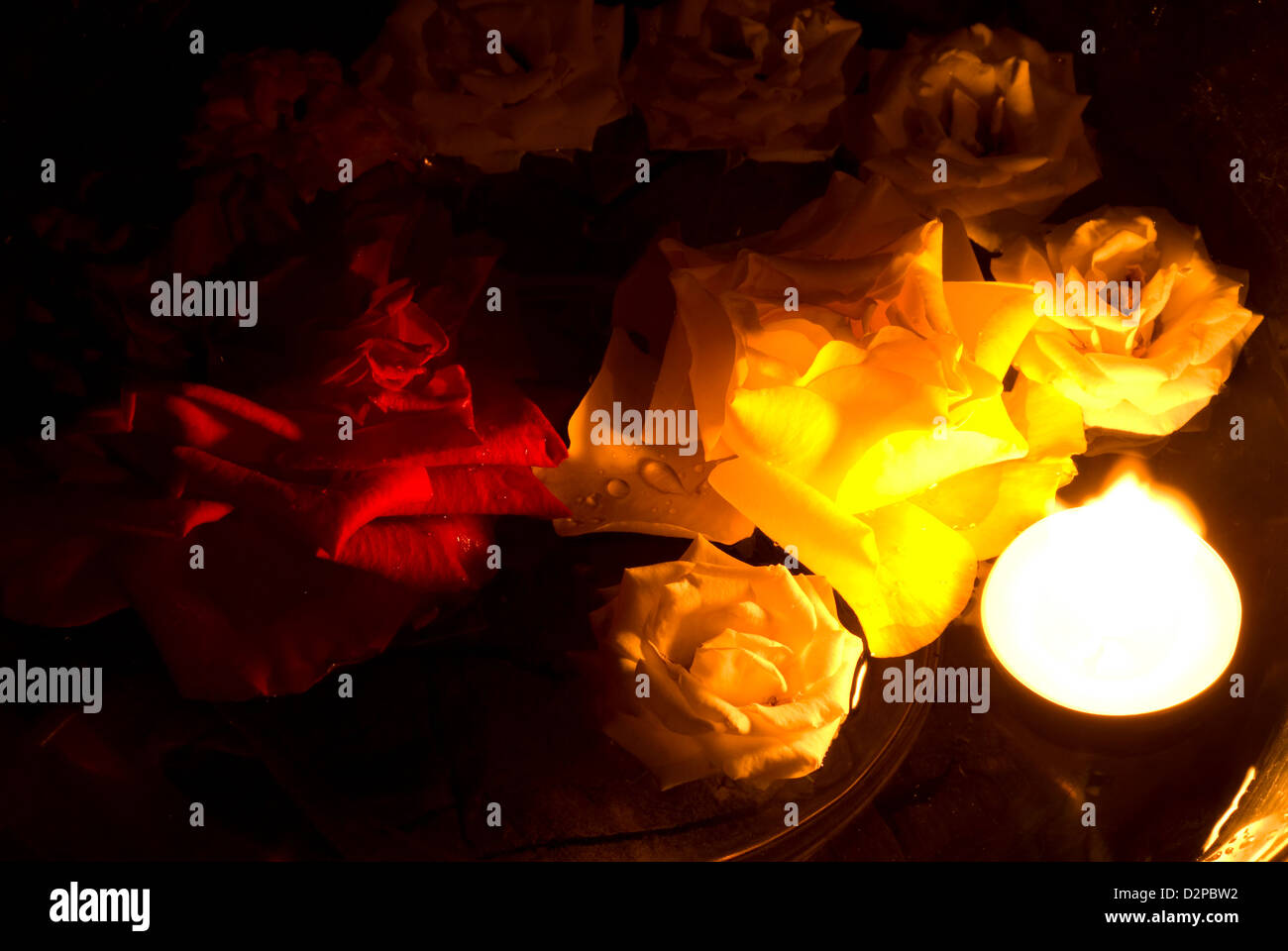 Floating roses hi-res stock photography and images - Alamy