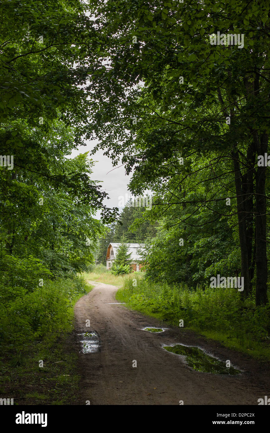 Forest path in a village in Russia Stock Photo - Alamy