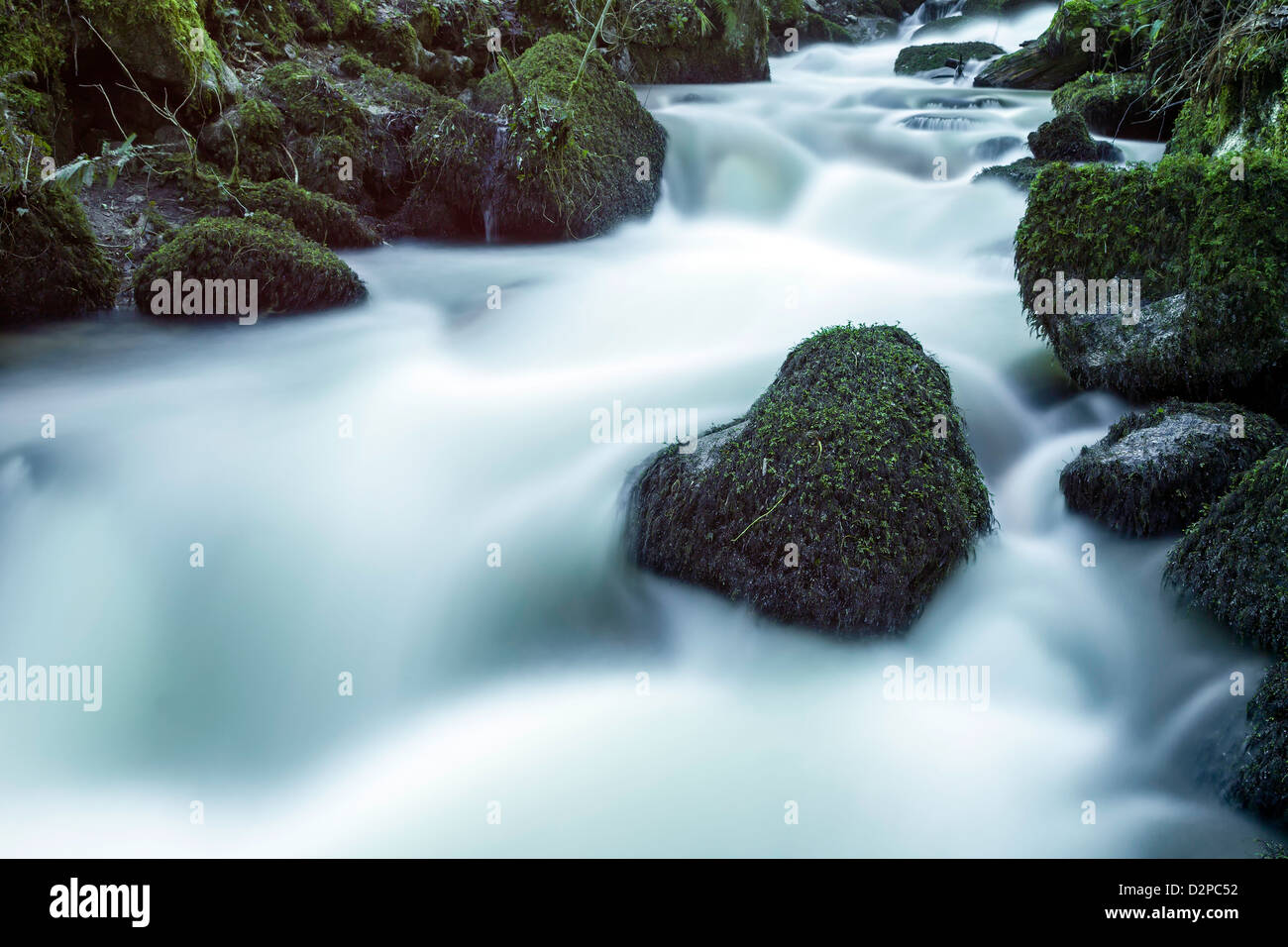Kennall vale nature reserve cascading water stream Stock Photo - Alamy